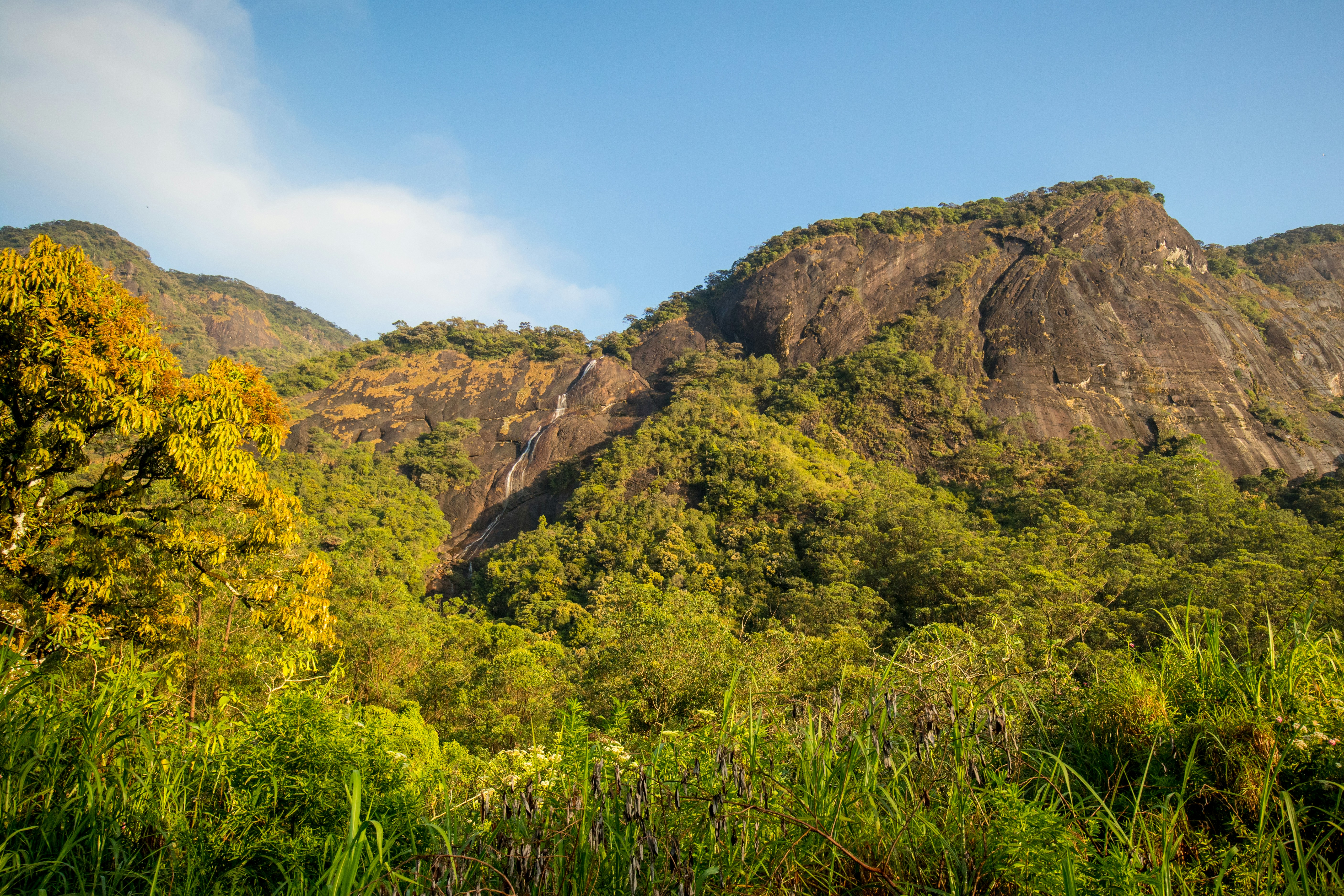 Sunny Hillscape: Golden Foliage Framing a Rugged Cliffscape