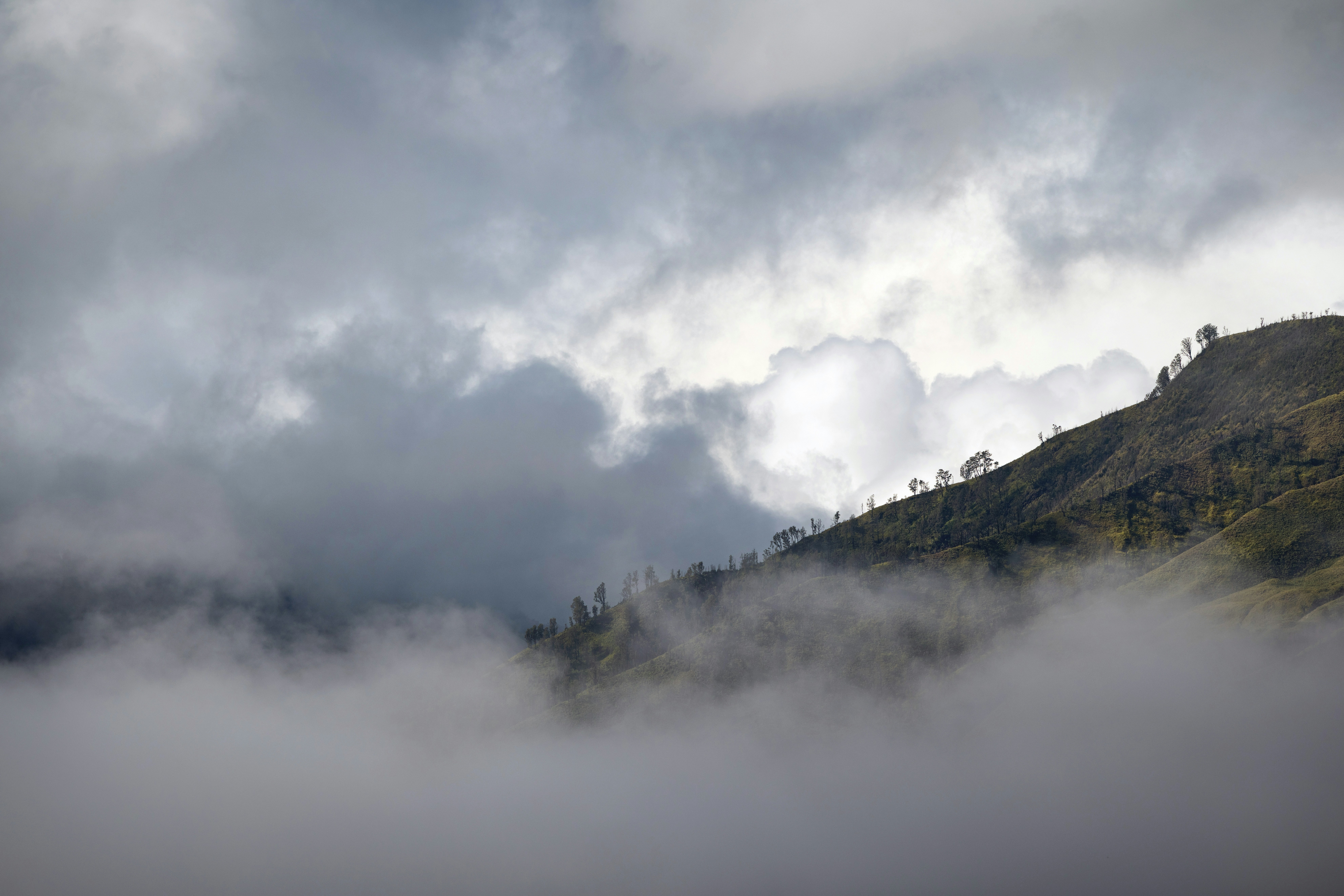 Mist-Laced Ridge: A Mountain Crown Emerges from the Fog