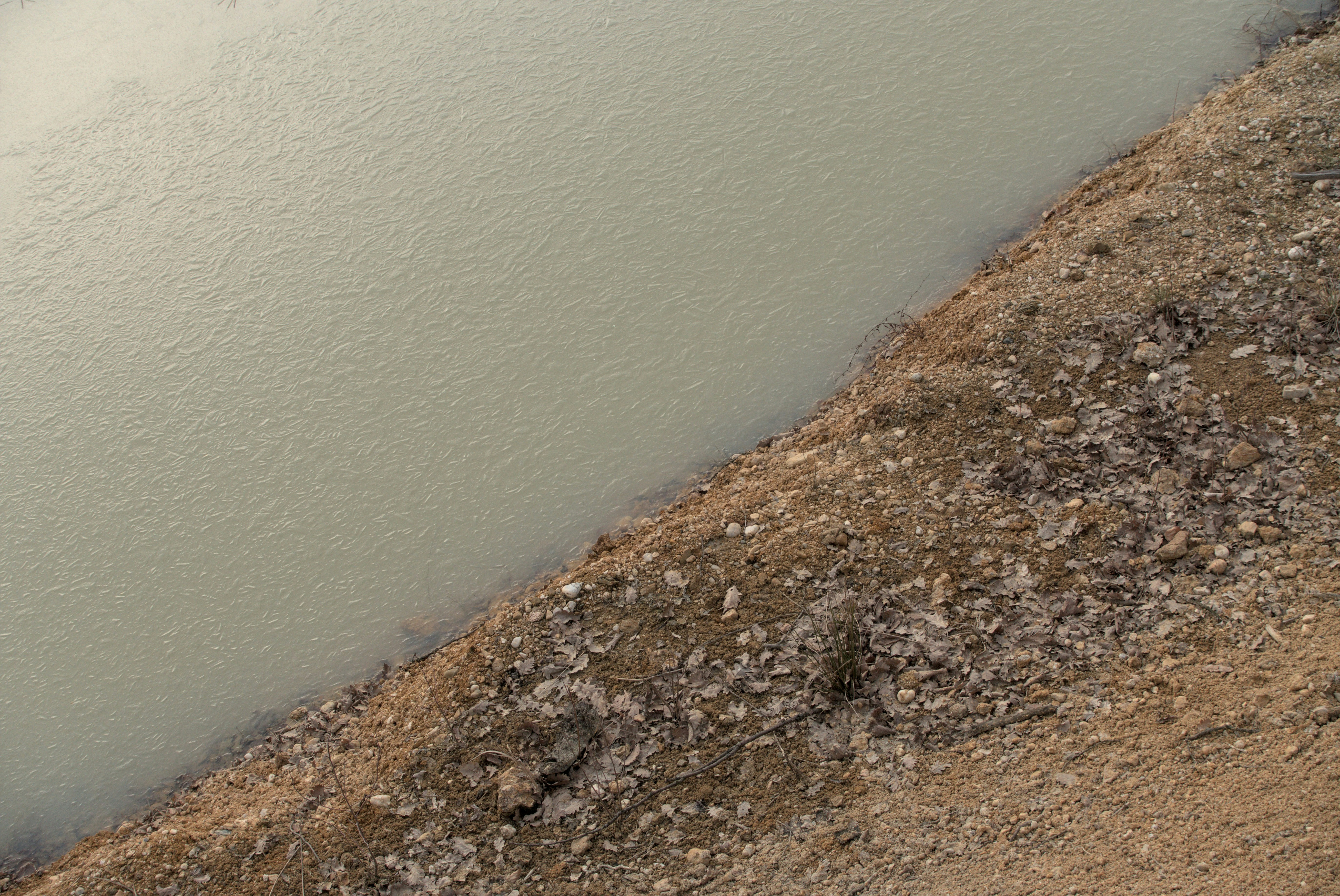 Riverbank Diagonal: Quiet Confluence of Soil and Water