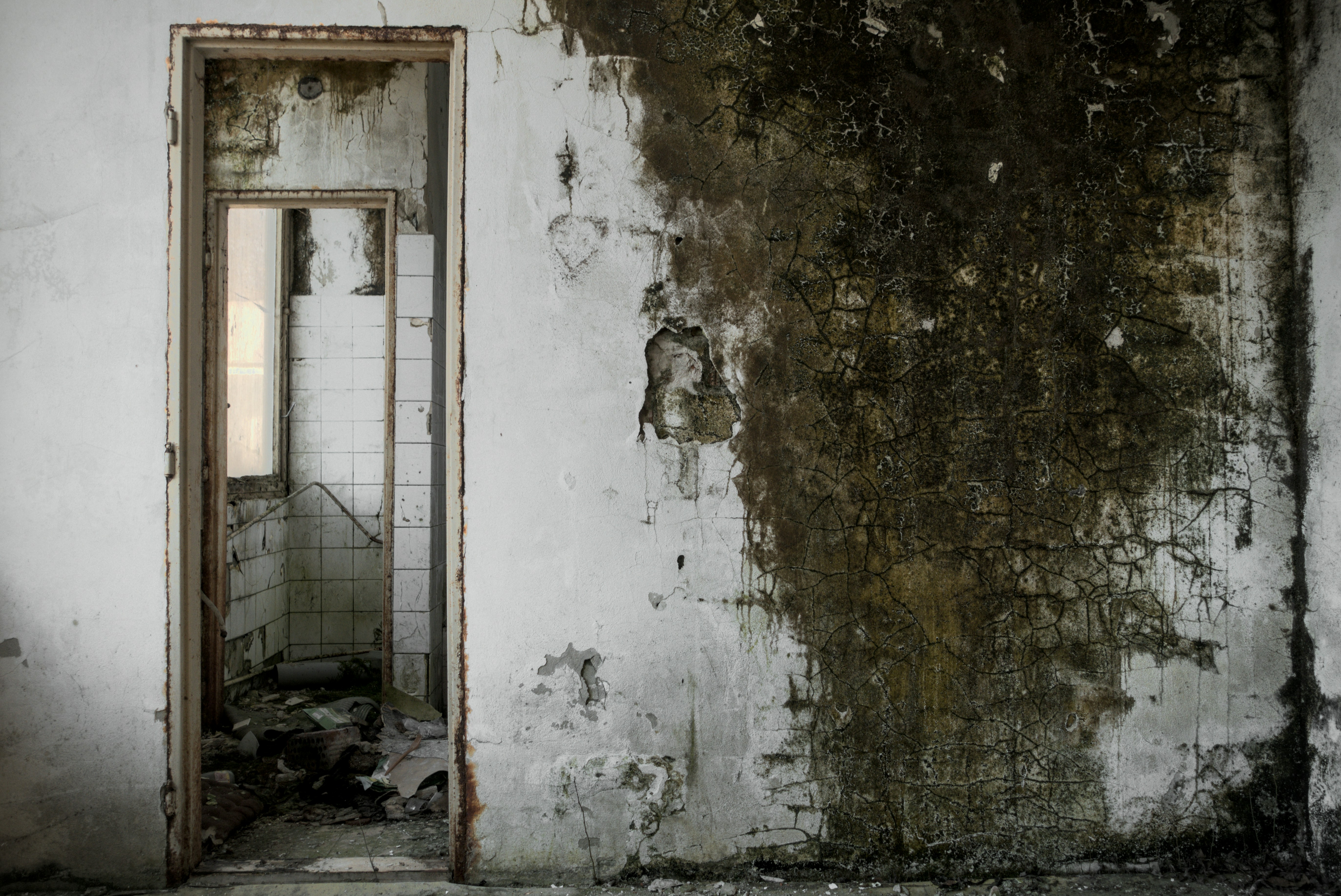 A derelict interior reveals a doorway into a tiled room, with peeling walls and moldy plaster; the scene emphasizes decay and abandonment in grayscale tones.