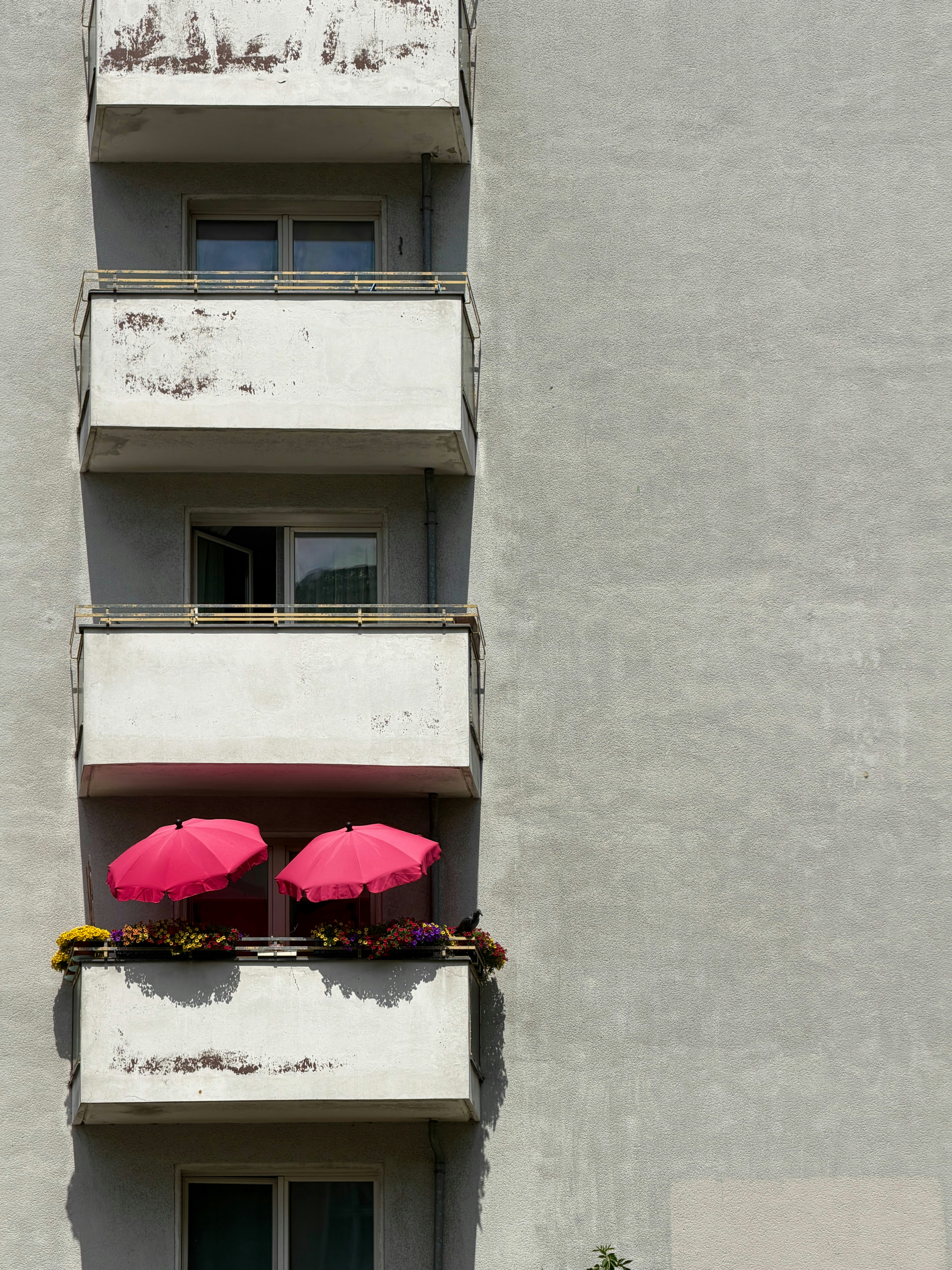 Balcony Blooms Under Pink Canopies
