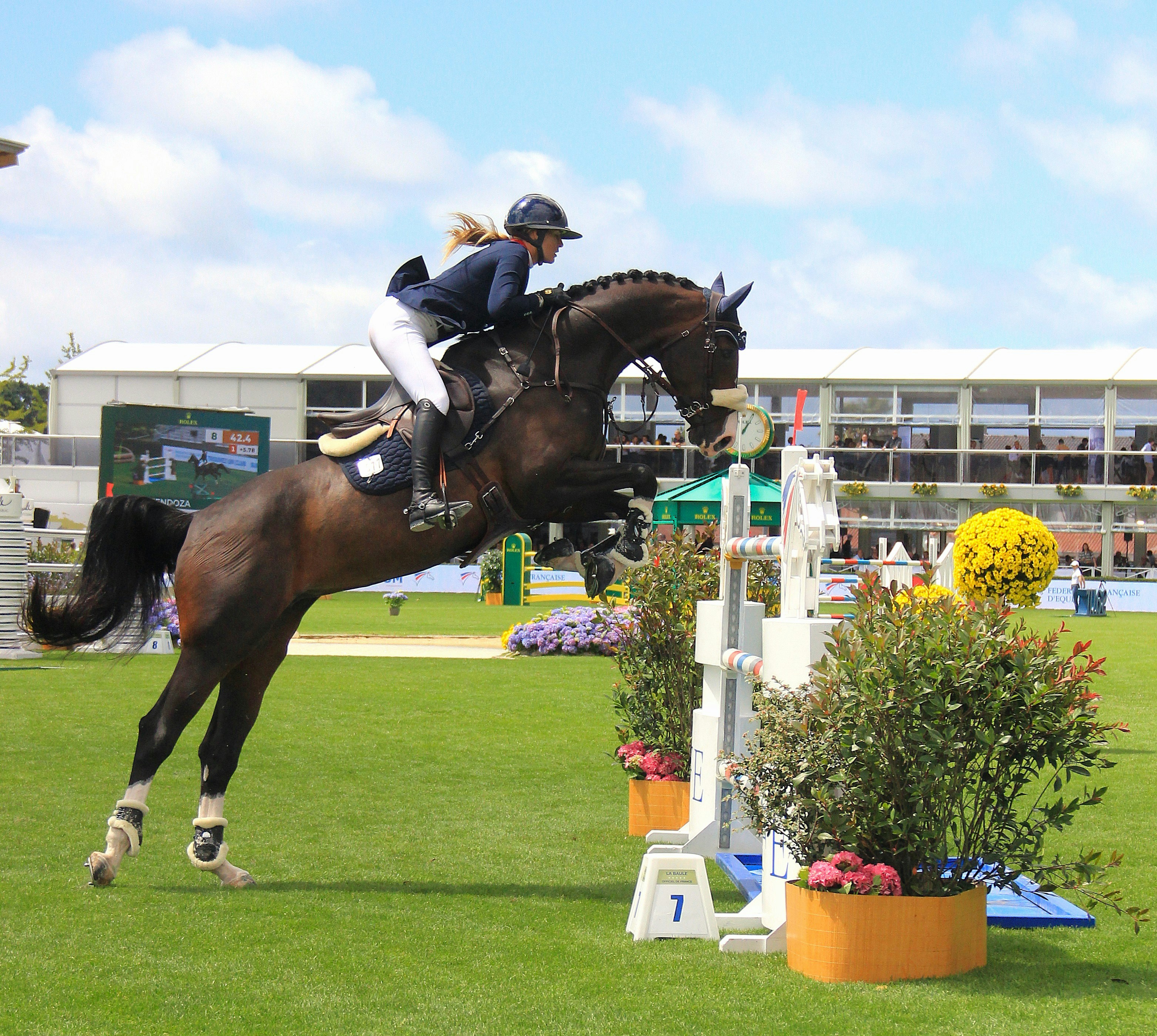 Leap of Precision: Rider and Jump in a Championship Arena