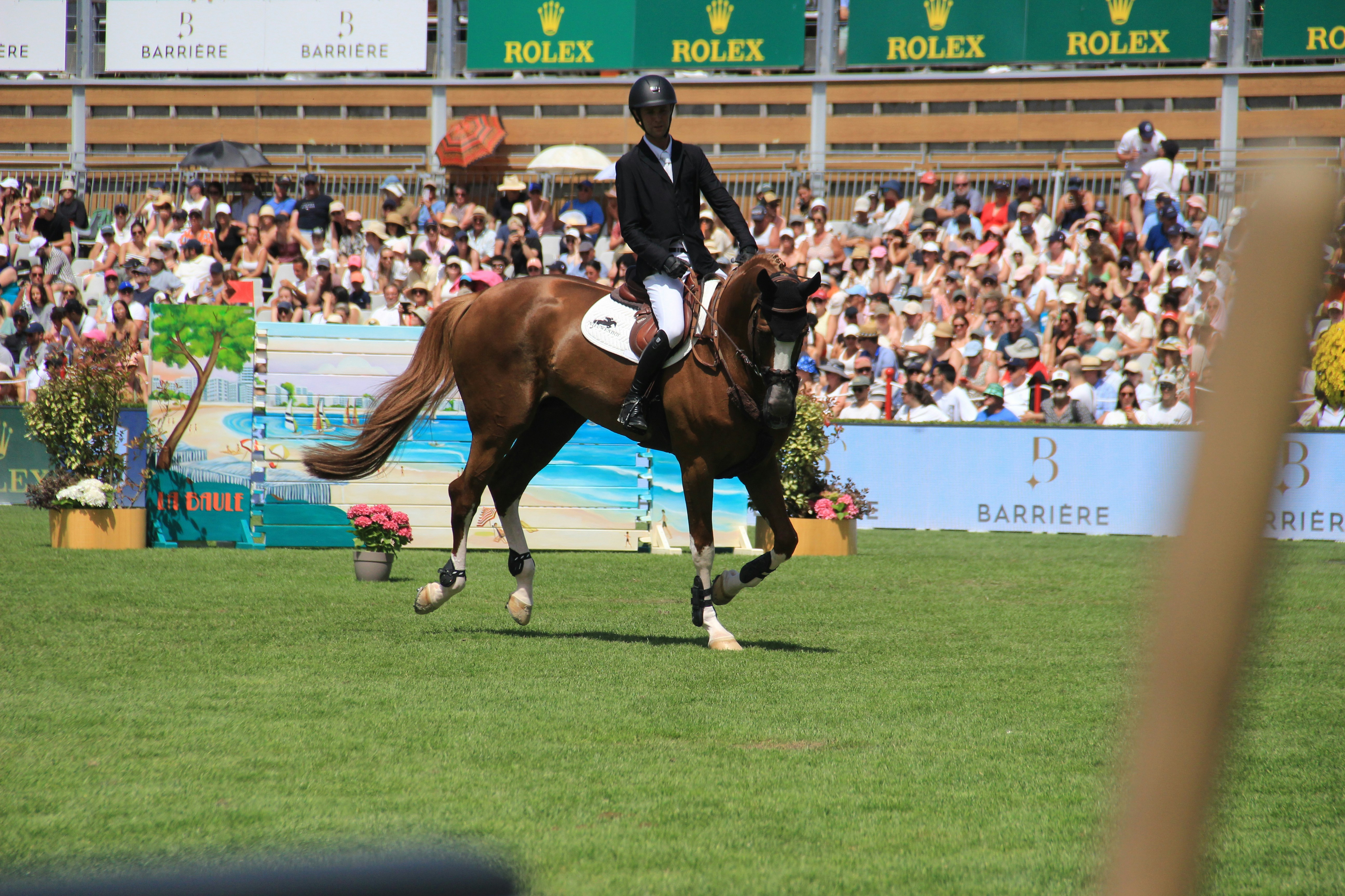 Equestrian Spotlight: Trot in the Ring