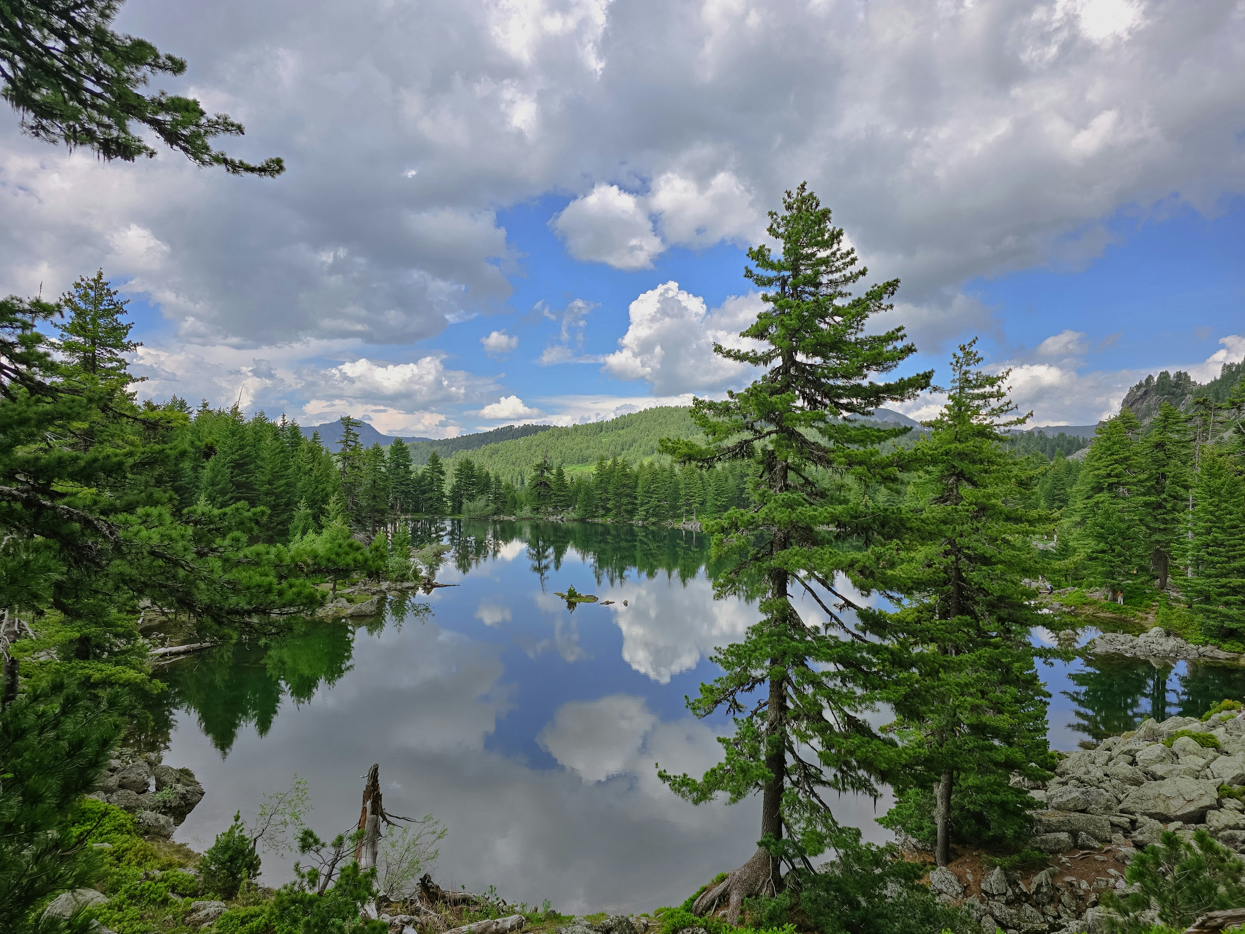 Mirror Lake: Converging Sky and Timber in a Quiet Alpine Basin