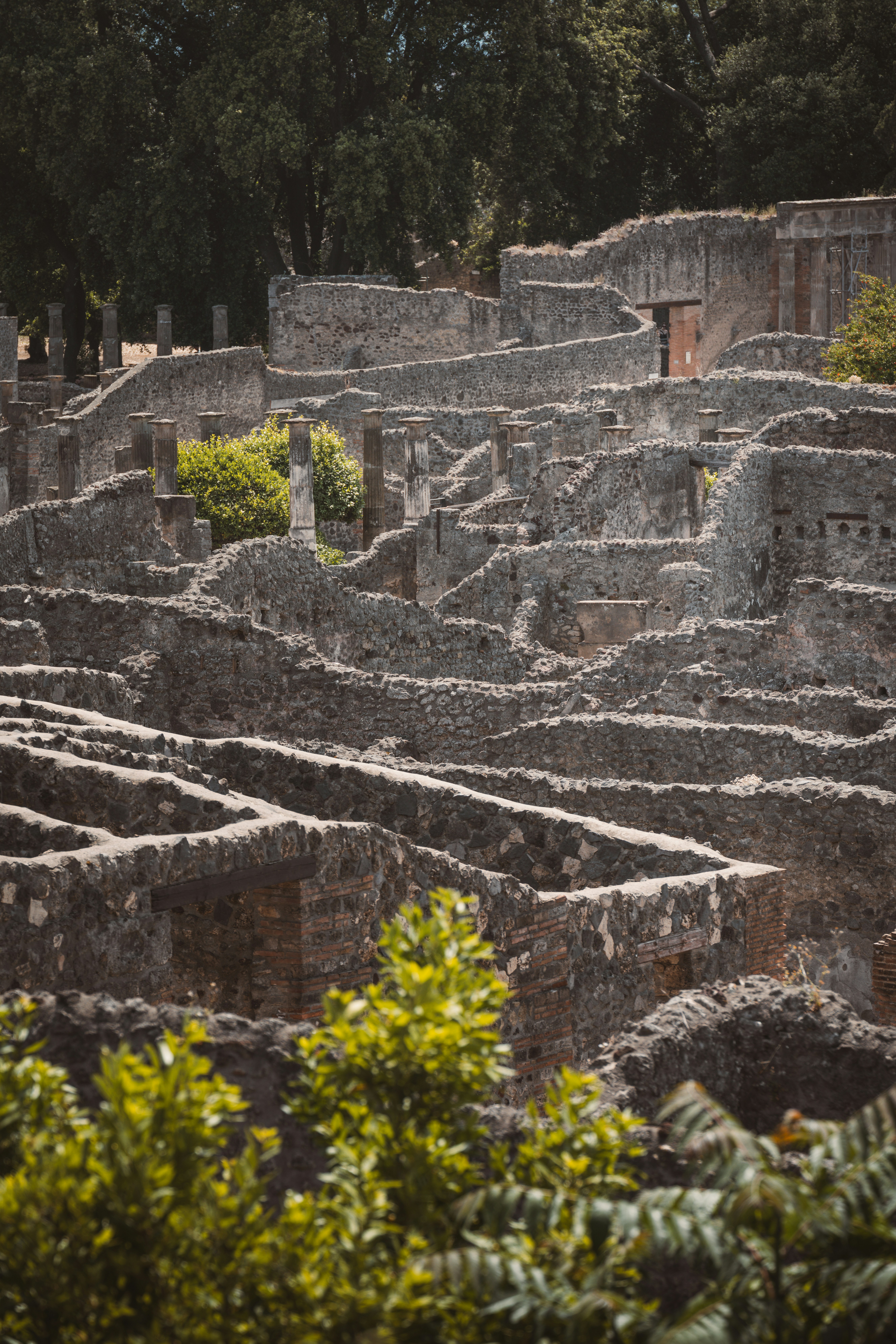 Stone Labyrinth in the Shade: A Walled Complex Emerges Through Greenery