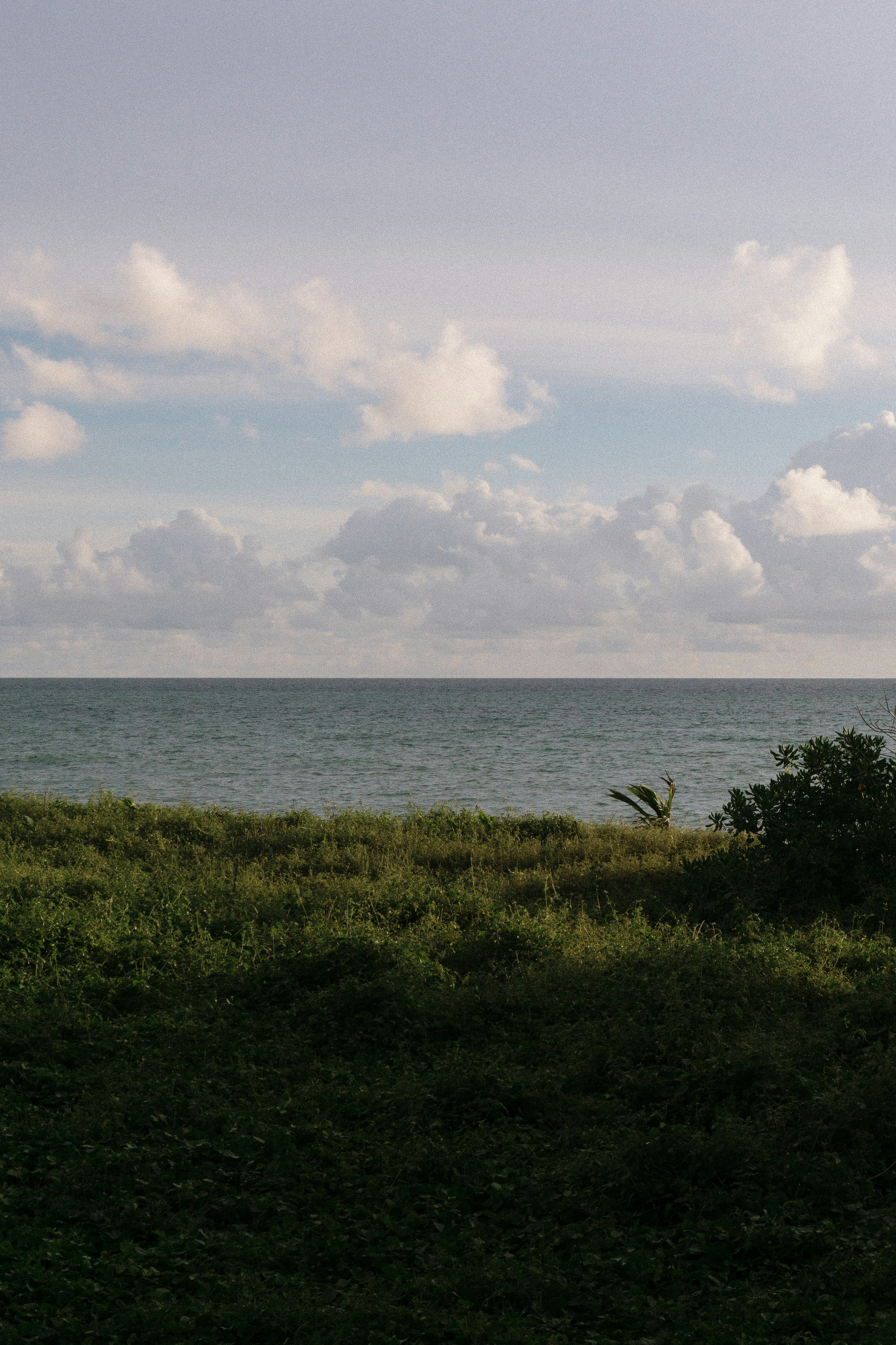Coastal Horizon: Sea, Sky, and Coastal Veil