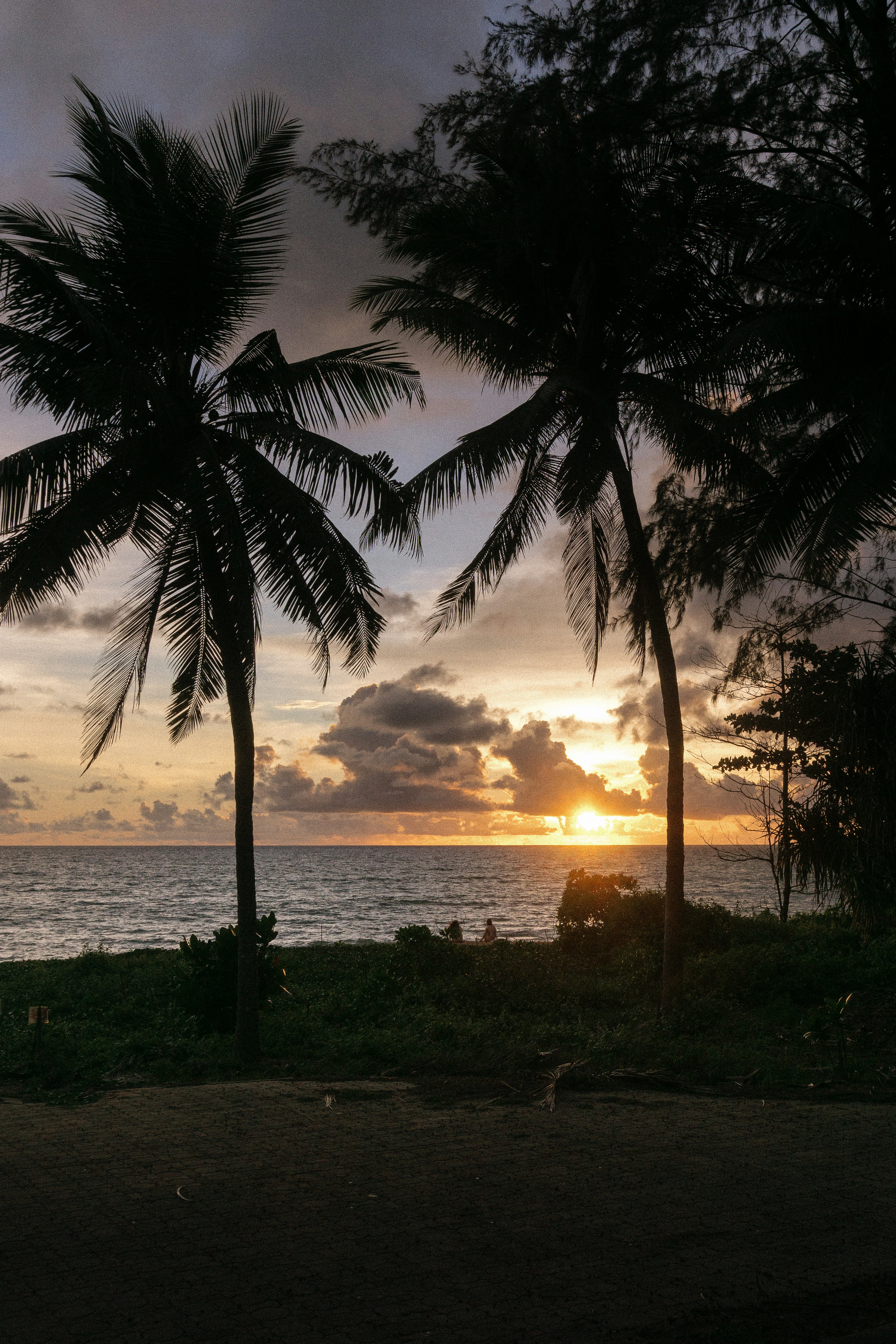Sunlit silhouettes: palm trees framing a tranquil tropical sunset over the shore