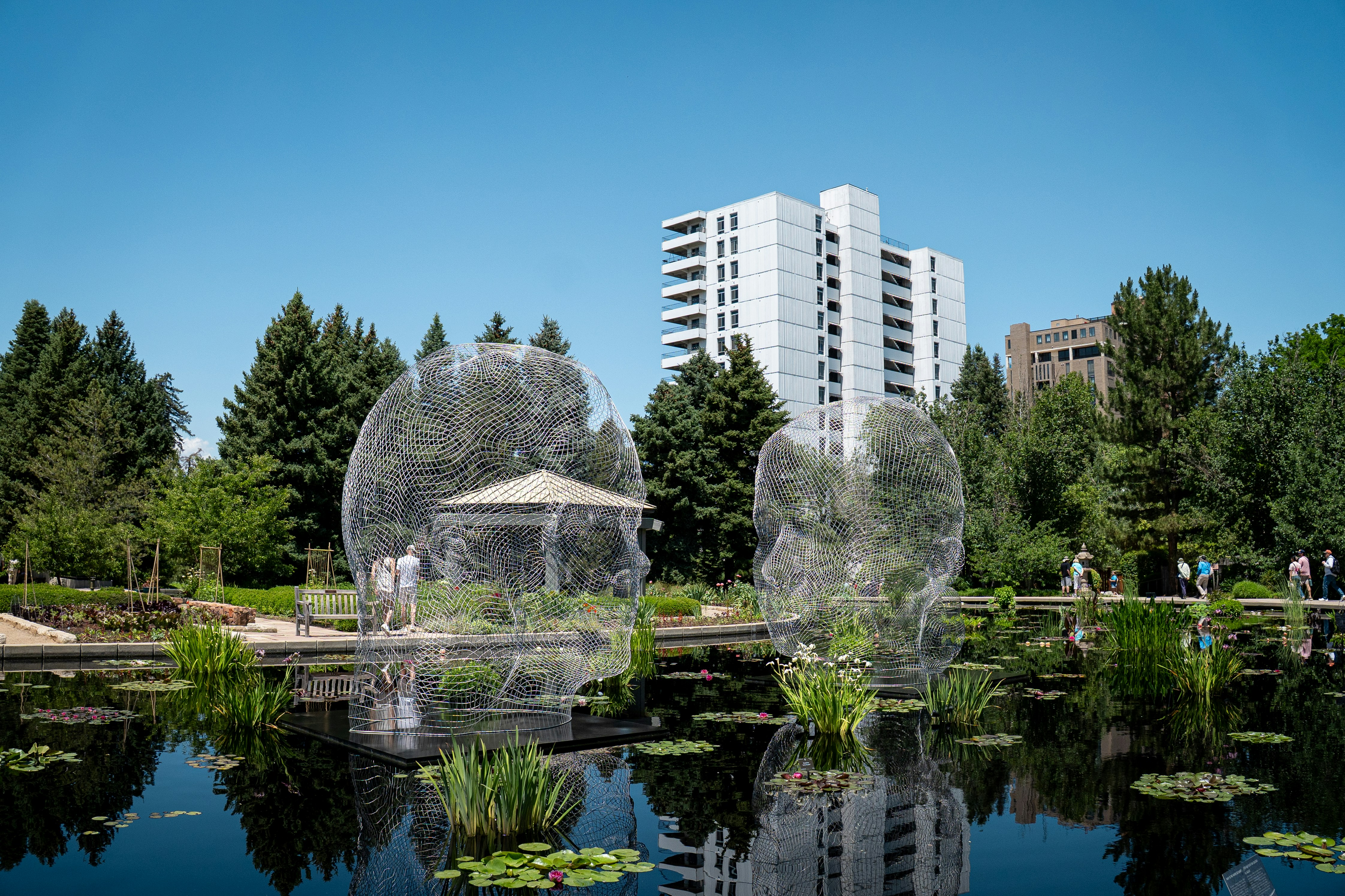 Wireframe Heads in a Serene Pond: Urban Art in a Glassy Garden