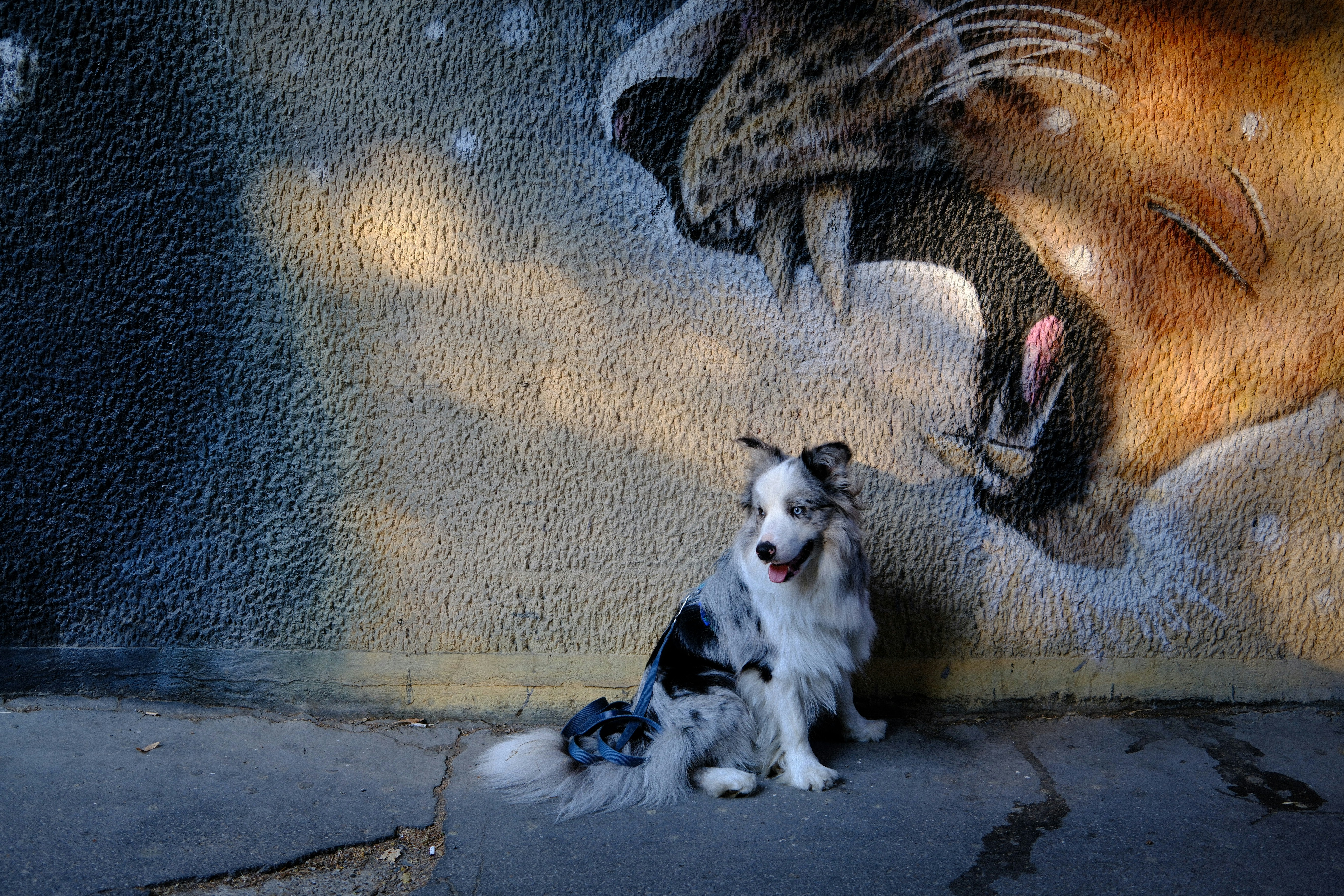 The Sentinel of Concrete: A Spotted Pup Remains Calm Before a Wall of Beasts
