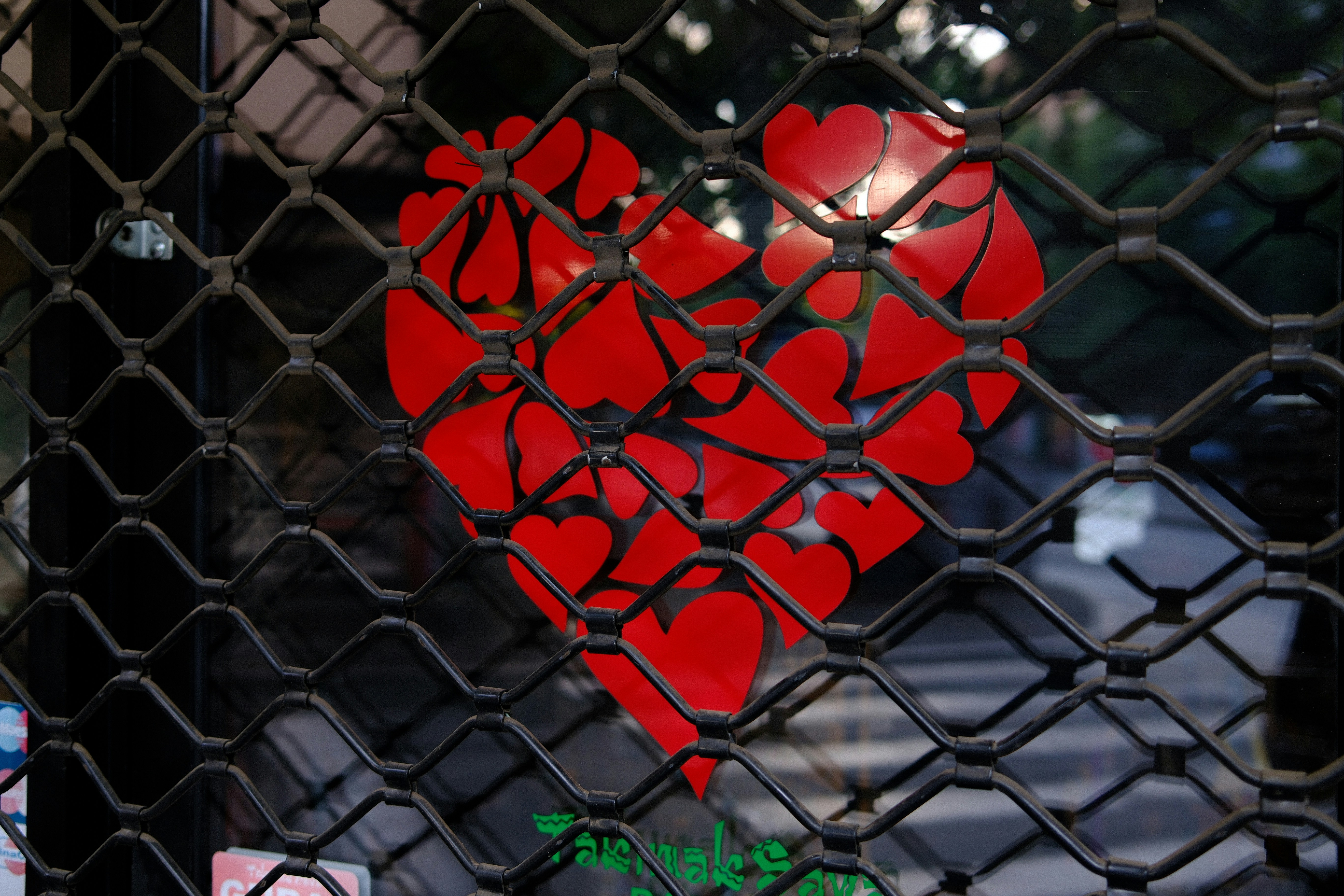 Red Heart Through a Lattice of Steel