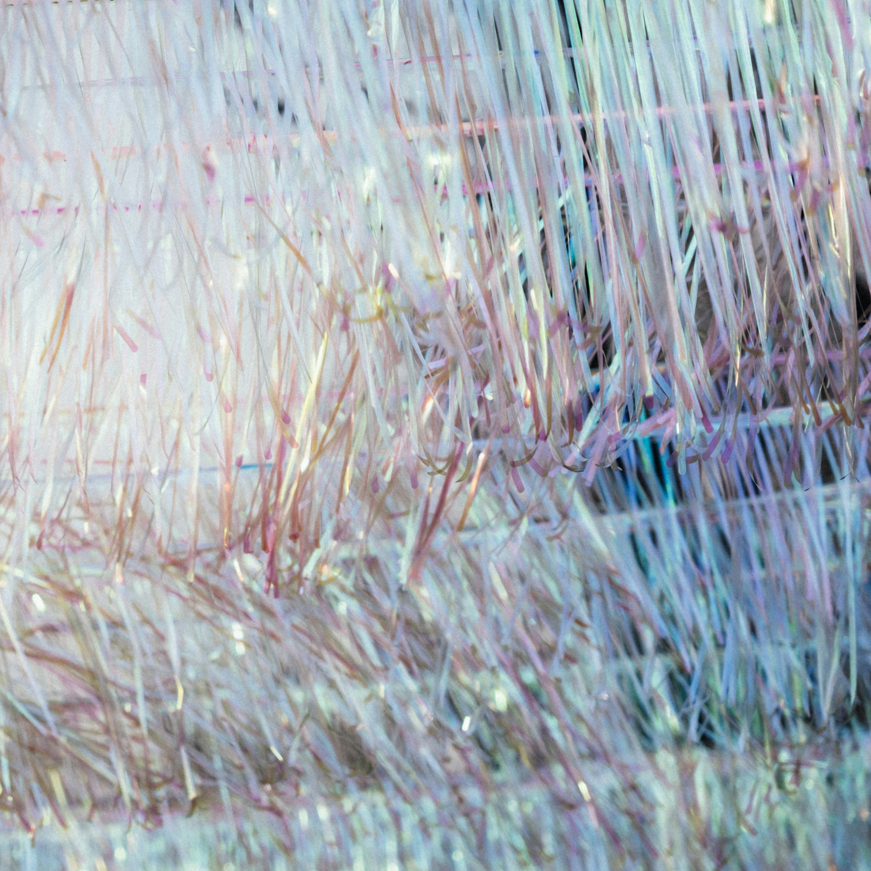 Iridescent Haze: a tangle of fibers in pastel light