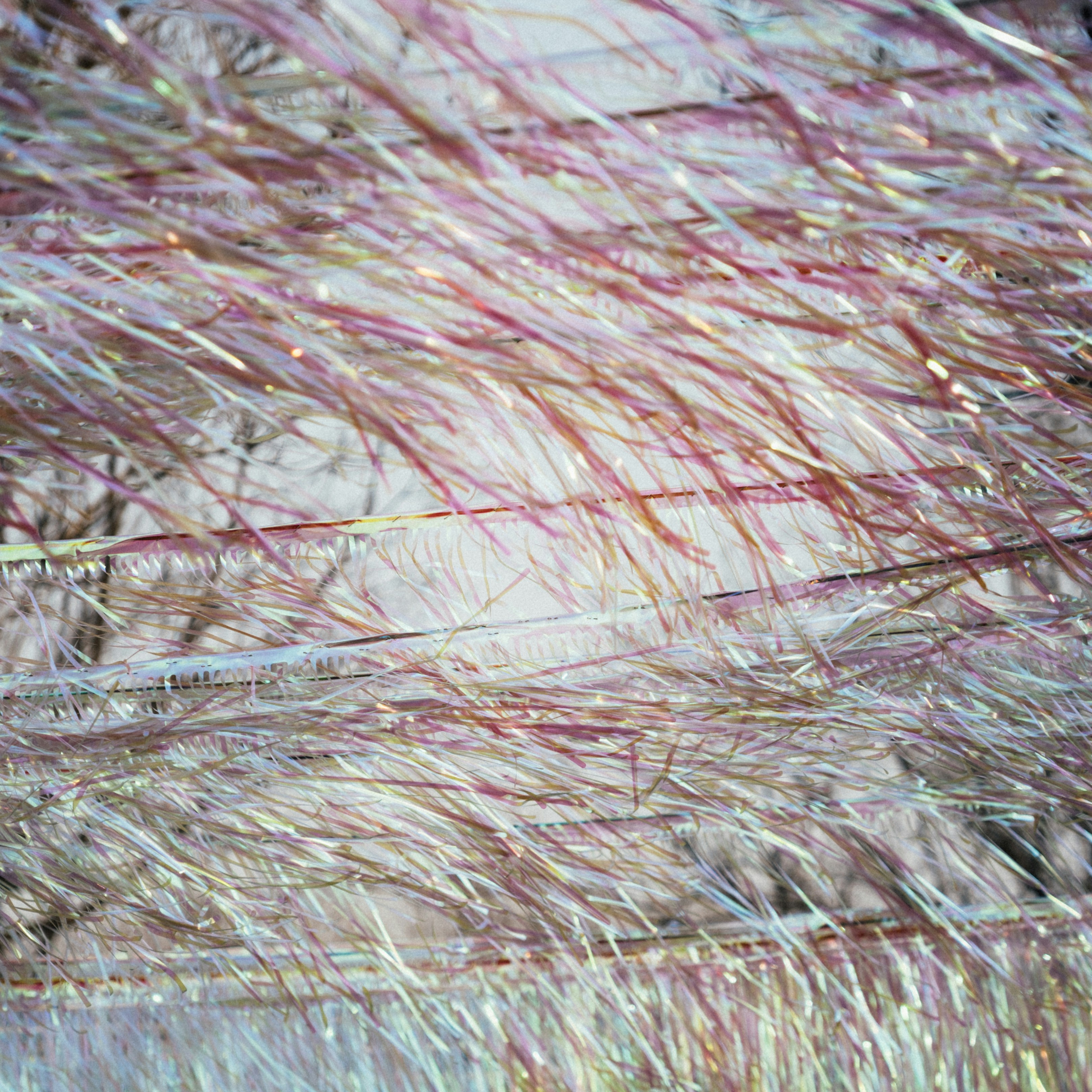 Iridescent Hair Strands in Soft Light