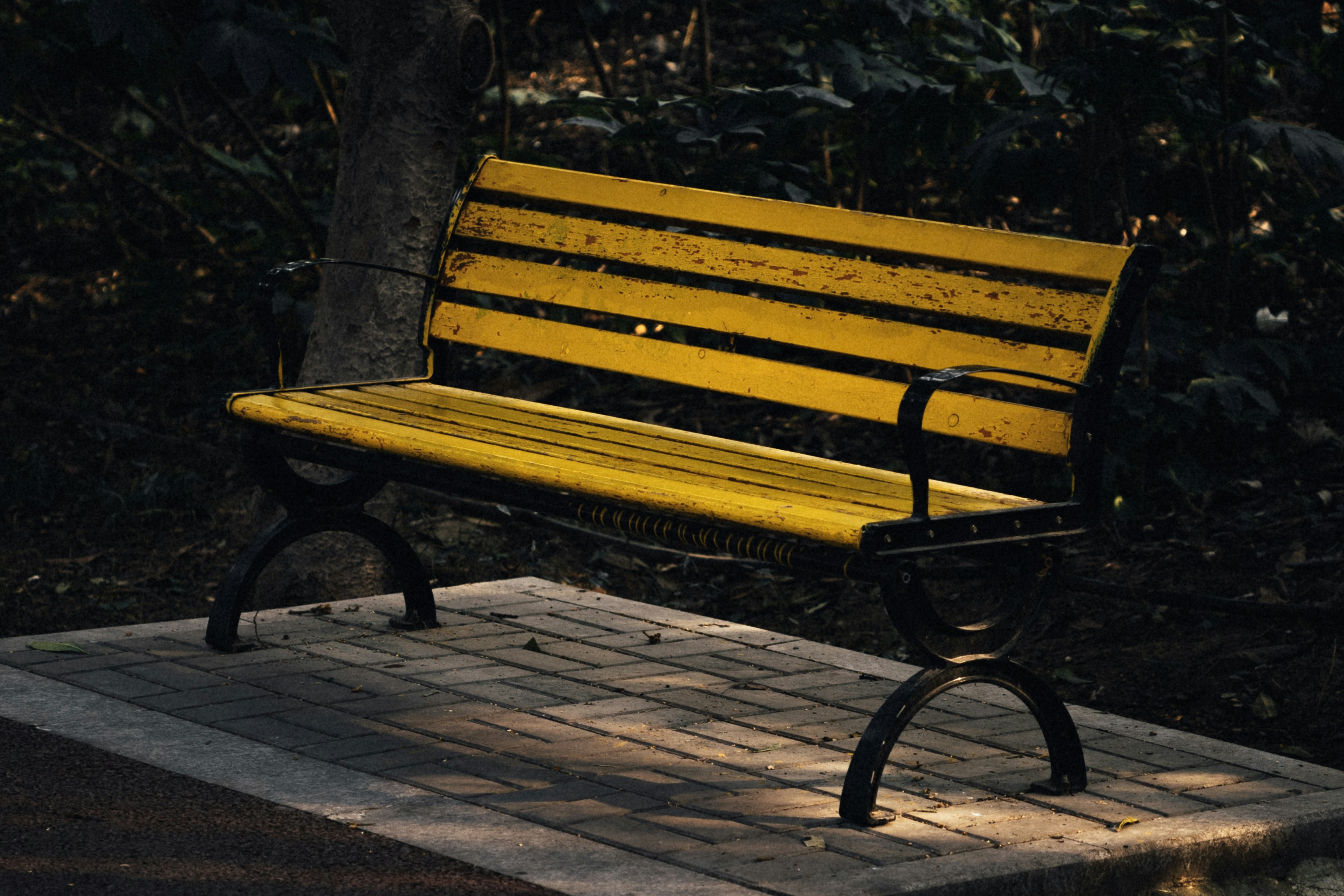 Golden Bench in Shadowed Park Highlighted by Morning Sun
