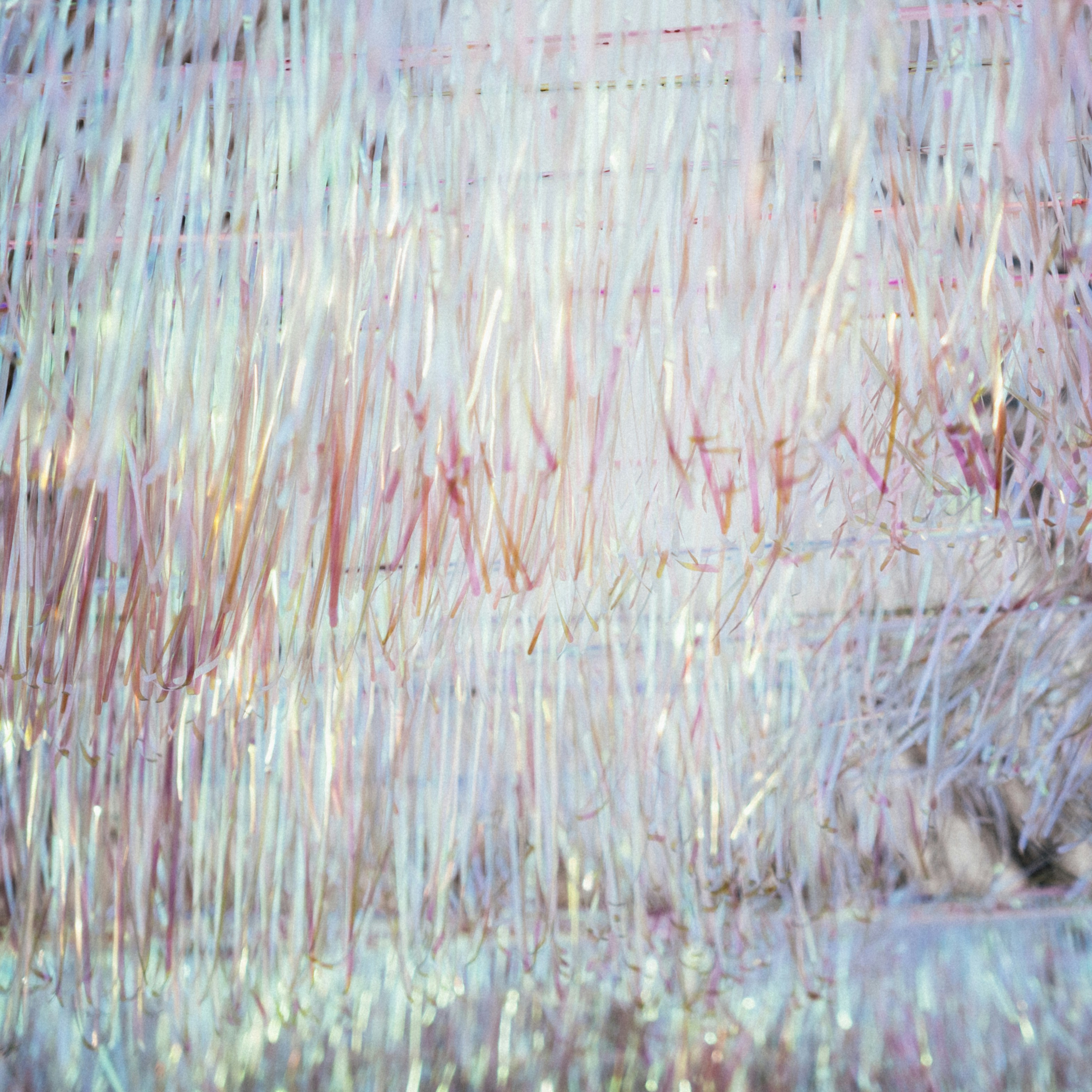 Iridescent Threads: Abstract Fibers in Dreamlike Pastel Light