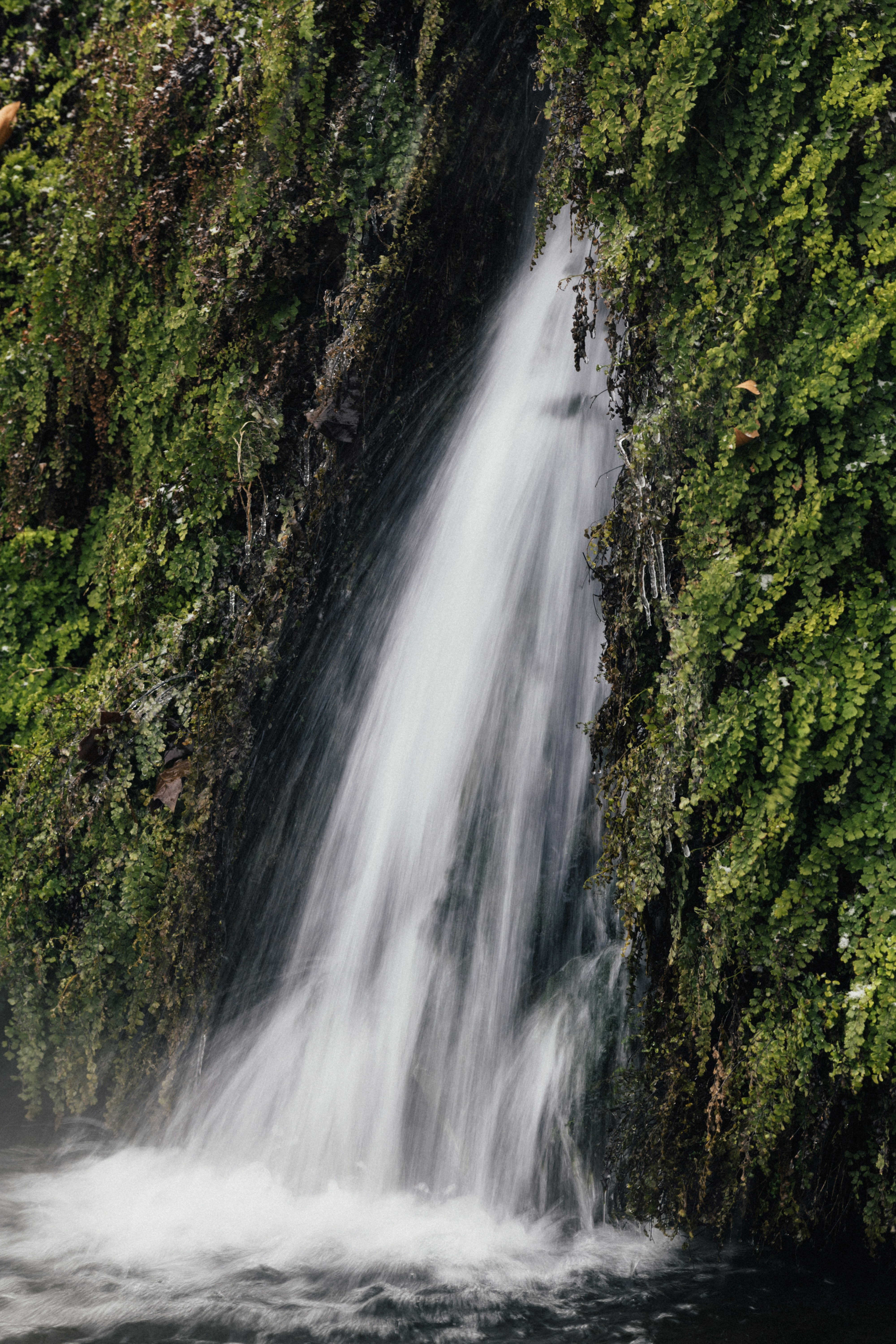 Mid-Corest Cascade: A Narrow Vein of White in a Green Wall
