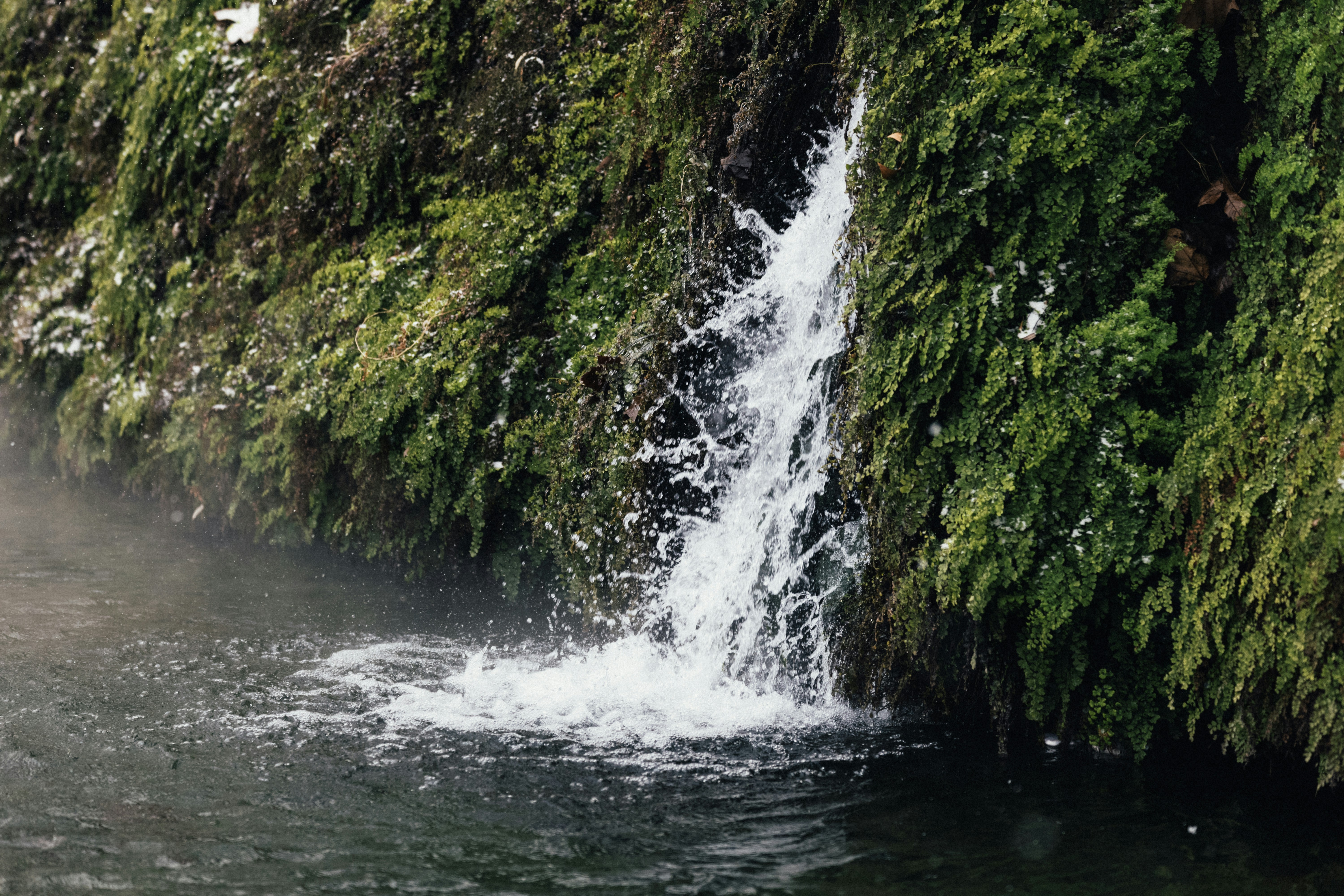 Moss-Cilled Cascade: A Quiet Shoreline Spill