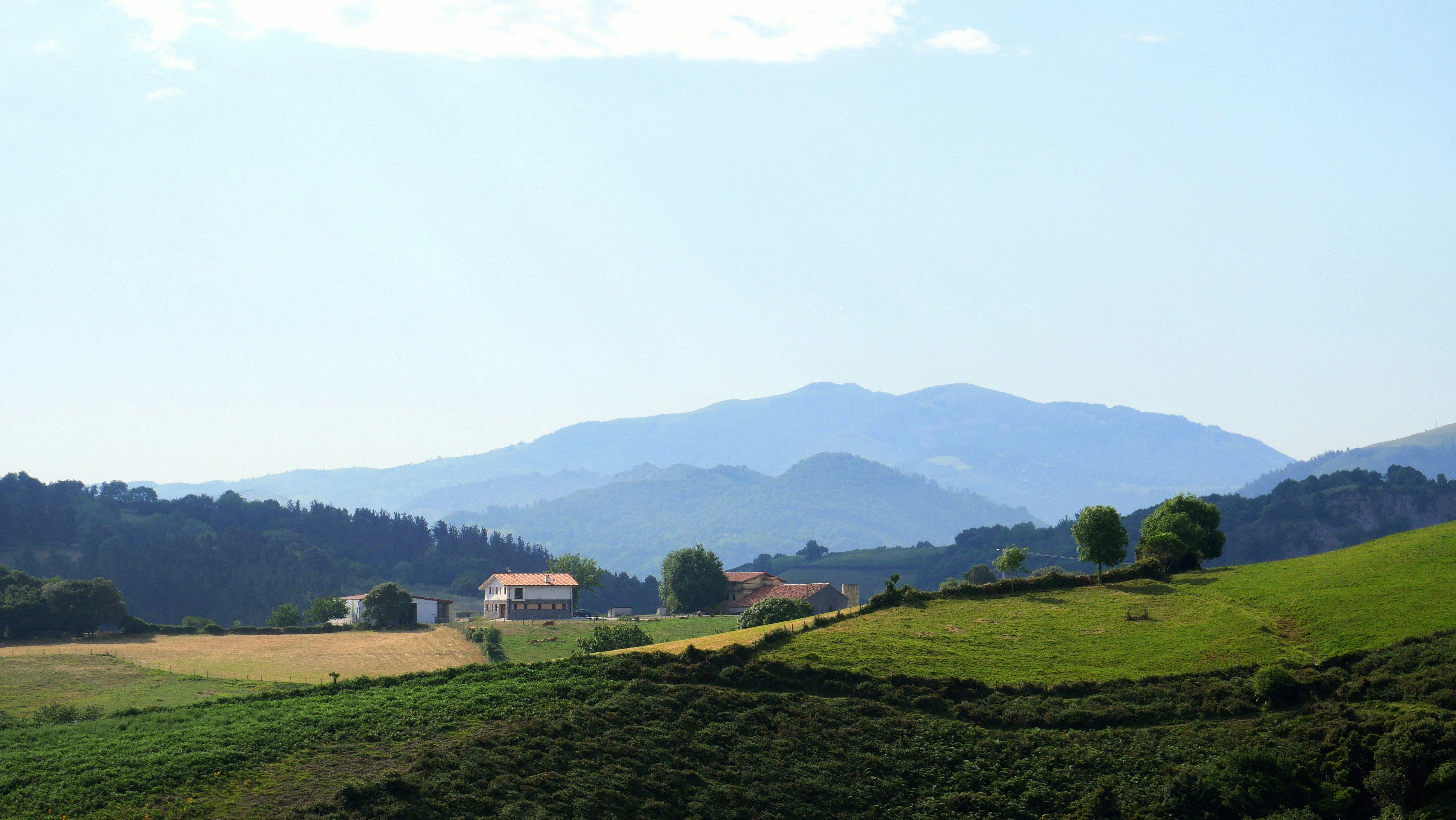 Pastoral Ridge: A Quiet Panorama Beneath the Blue Horizon