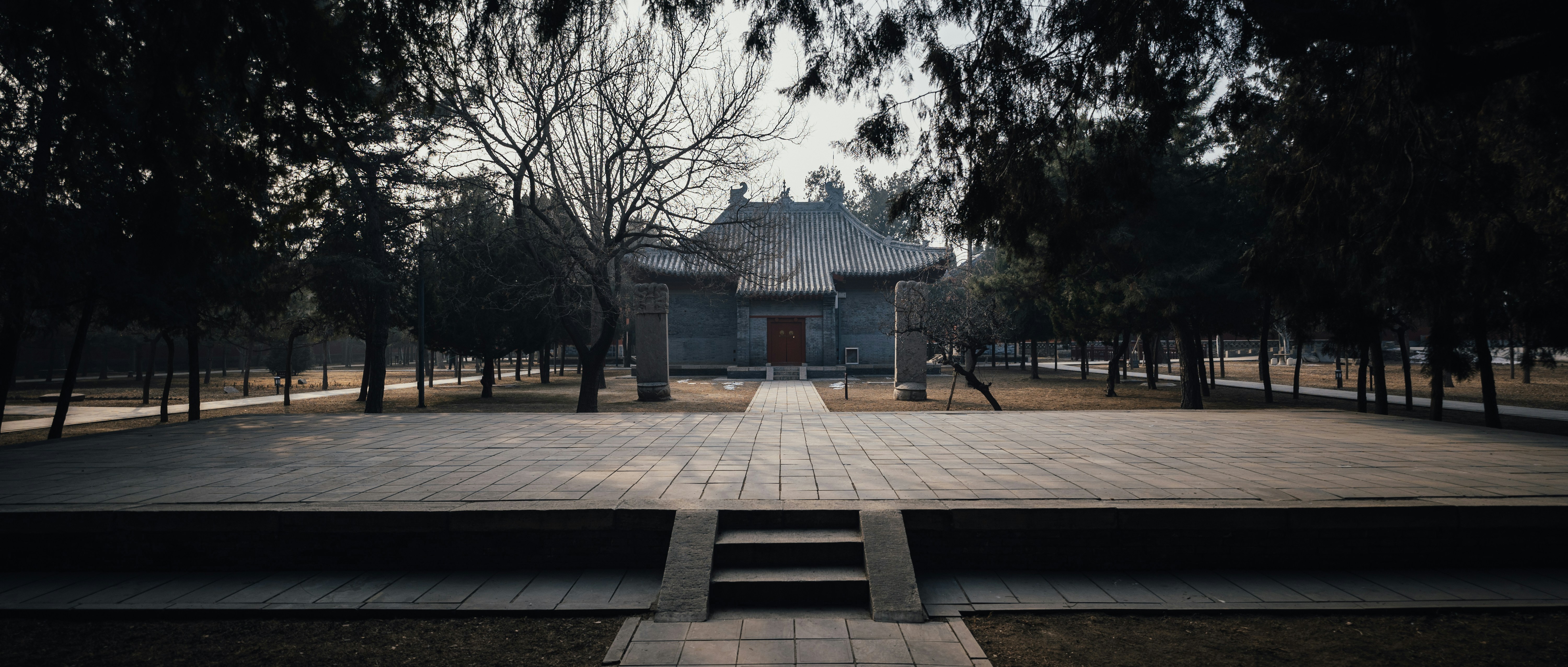Stone steps and a wide plaza frame a distant temple, with trees lining the sides in subdued light. A calm, architectural scene focusing on balance and perspective.
