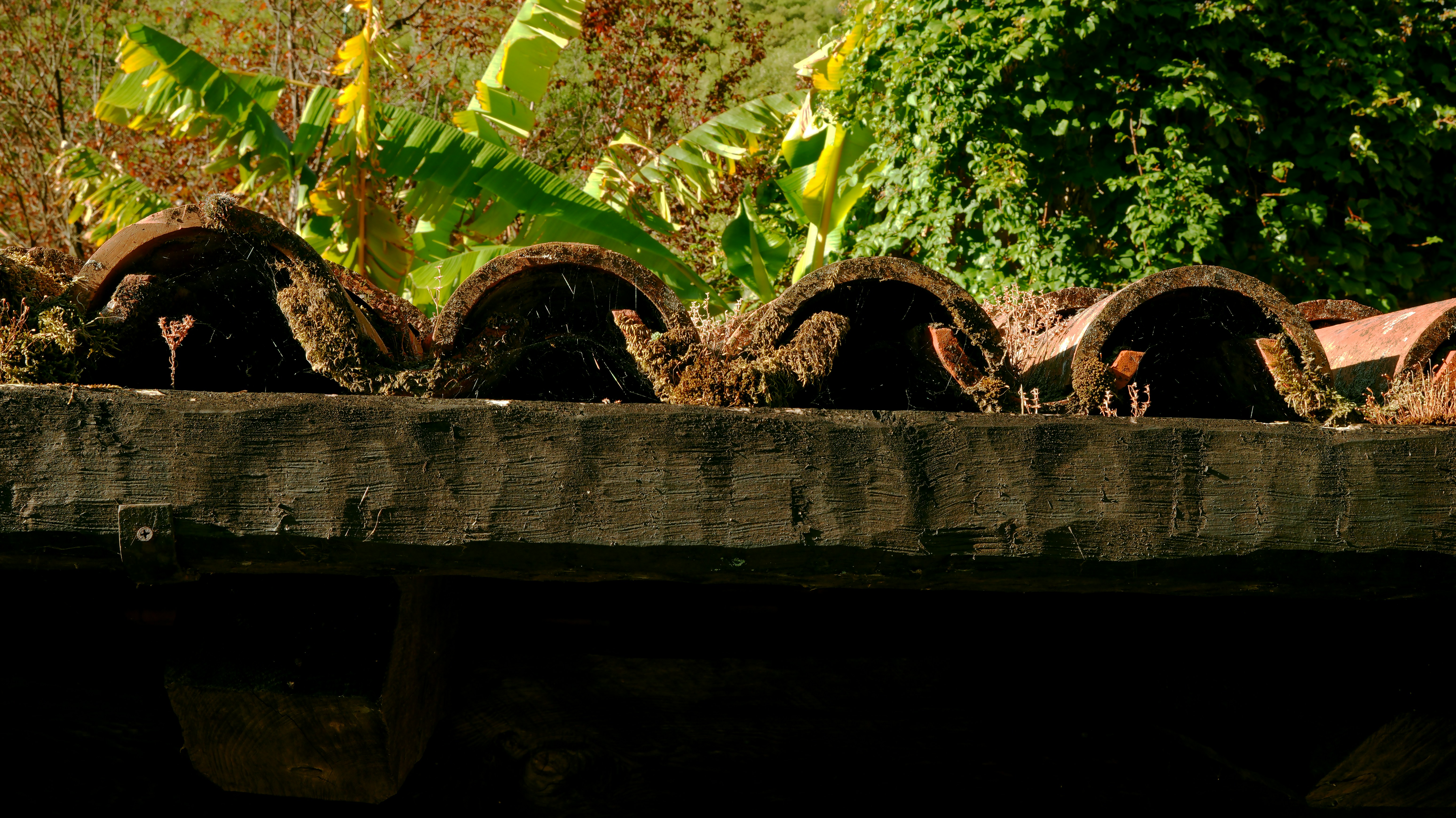 Terracotta Roof Patina: Moss Beneath a Shaded Ridge