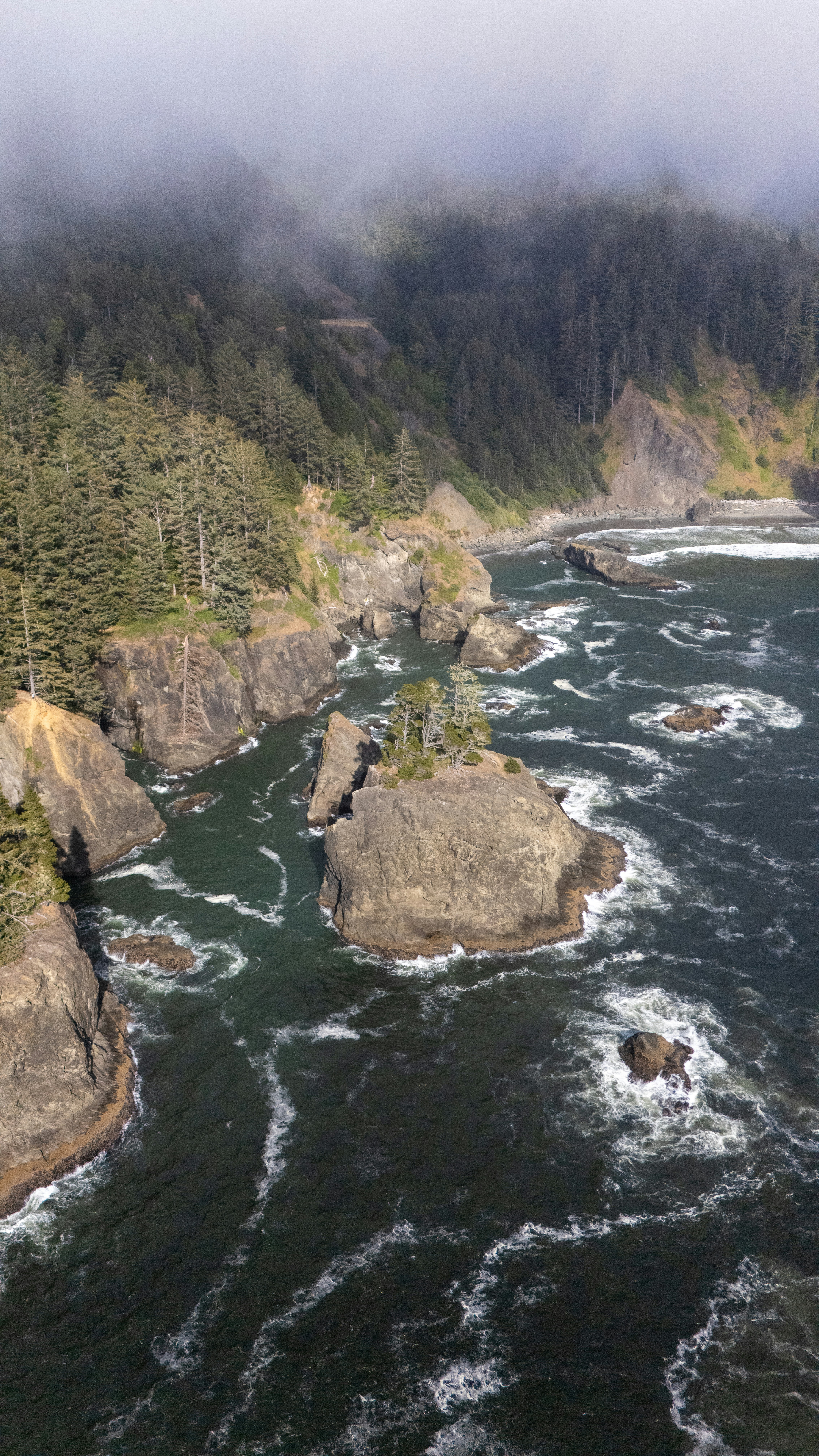 Rugged Pacific Reach: Coastal Rocks and Cascade Waters