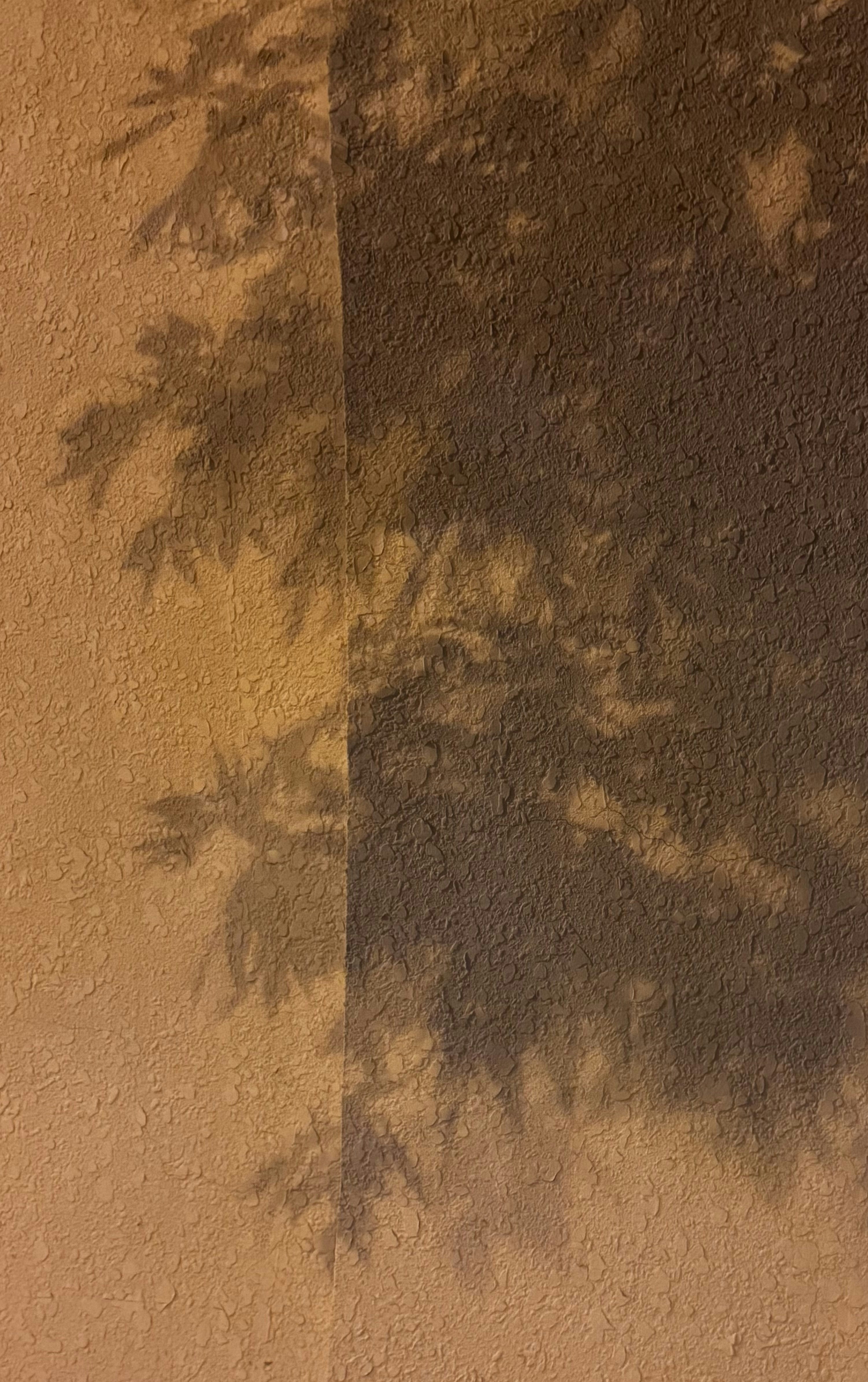 Abstract textured wall split by a vertical seam displaying warm orange and cool brown tones with shadowed tree-like patterns; the image emphasizes color blocks and surface texture without a discernible subject. Note: this is a photographic capture of a wall surface.
