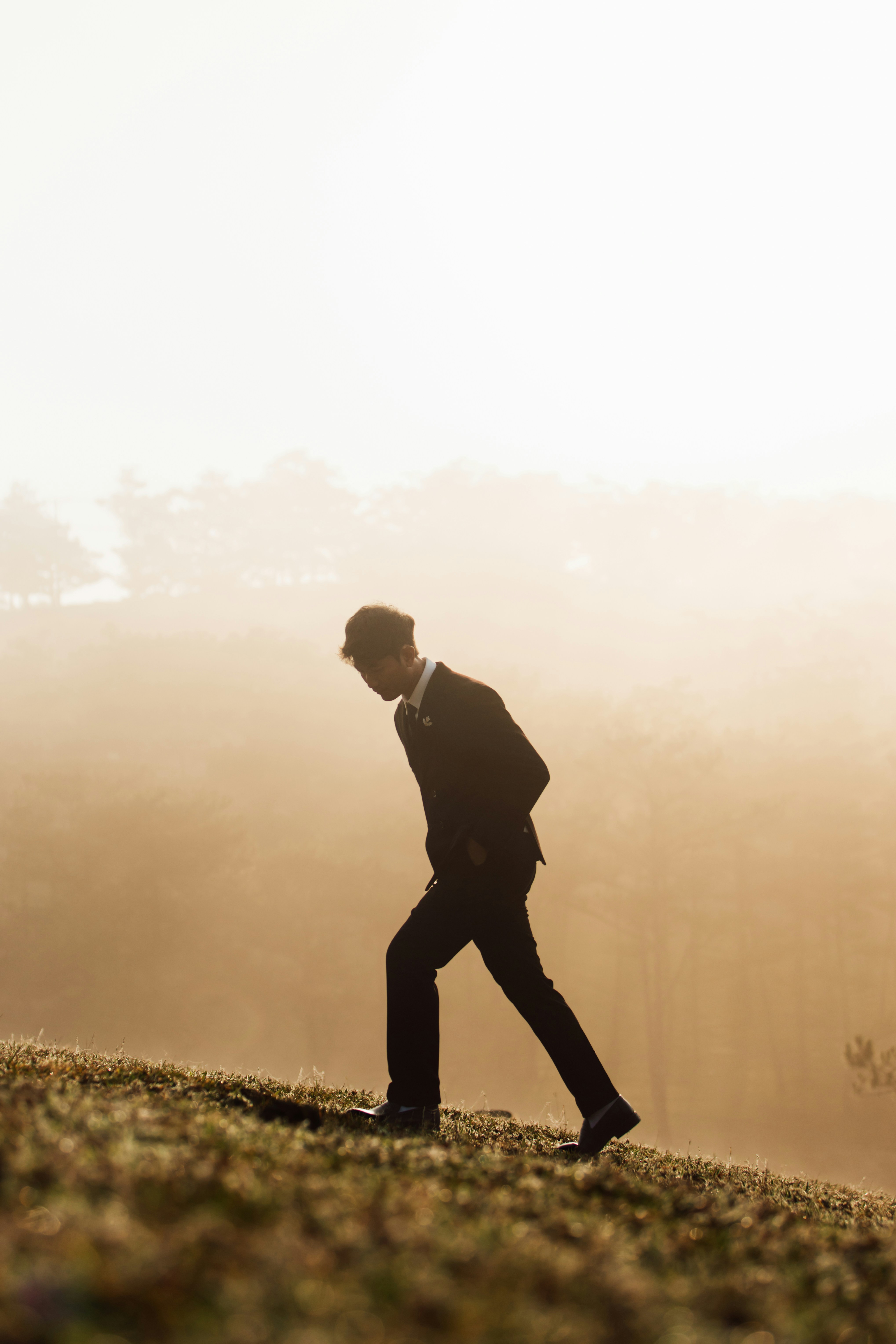 Silhouette in Gentle Horizon: A Groomed Step at Dusk