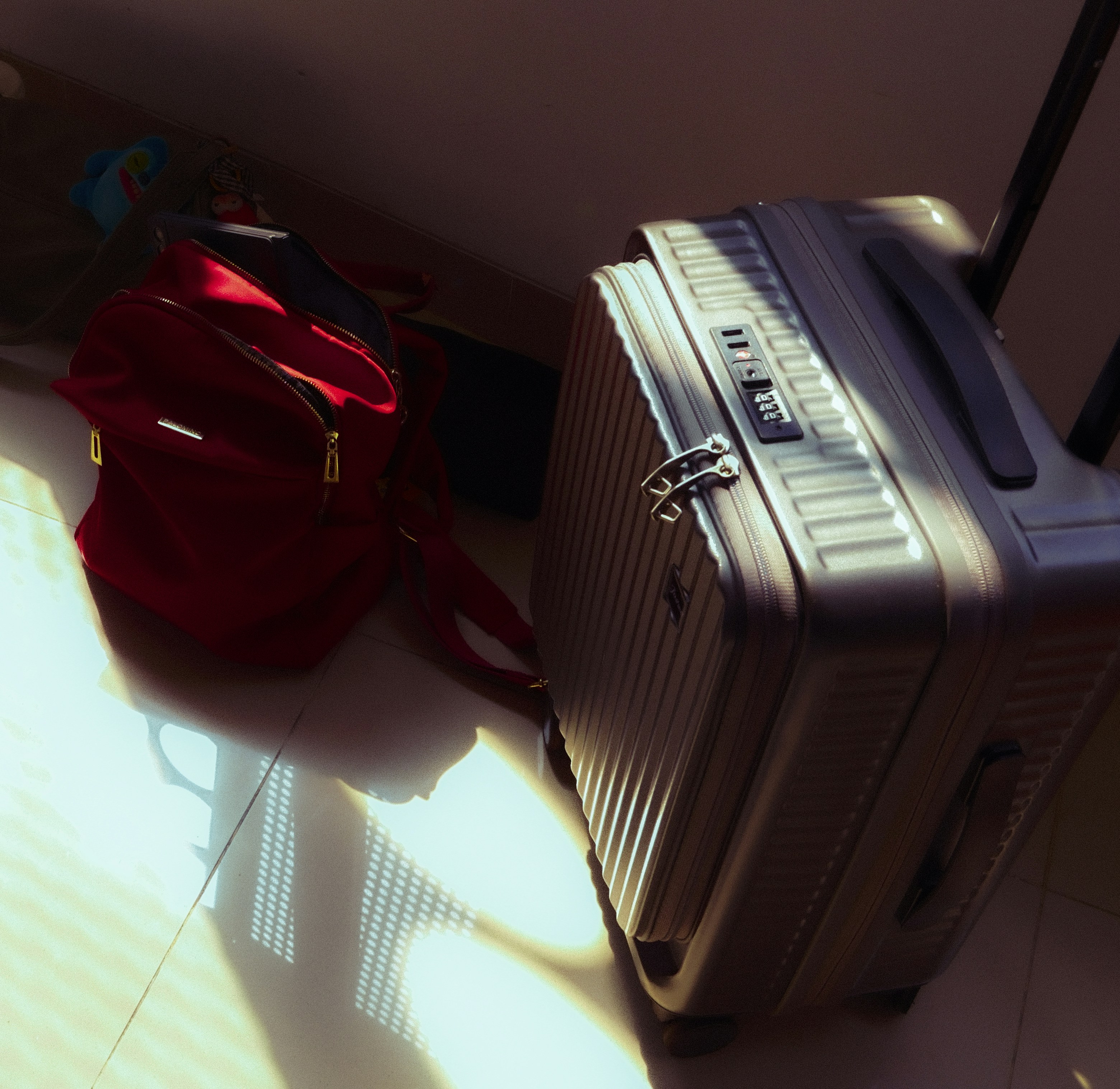 Reflected Sunshine on a Silver Carry-On