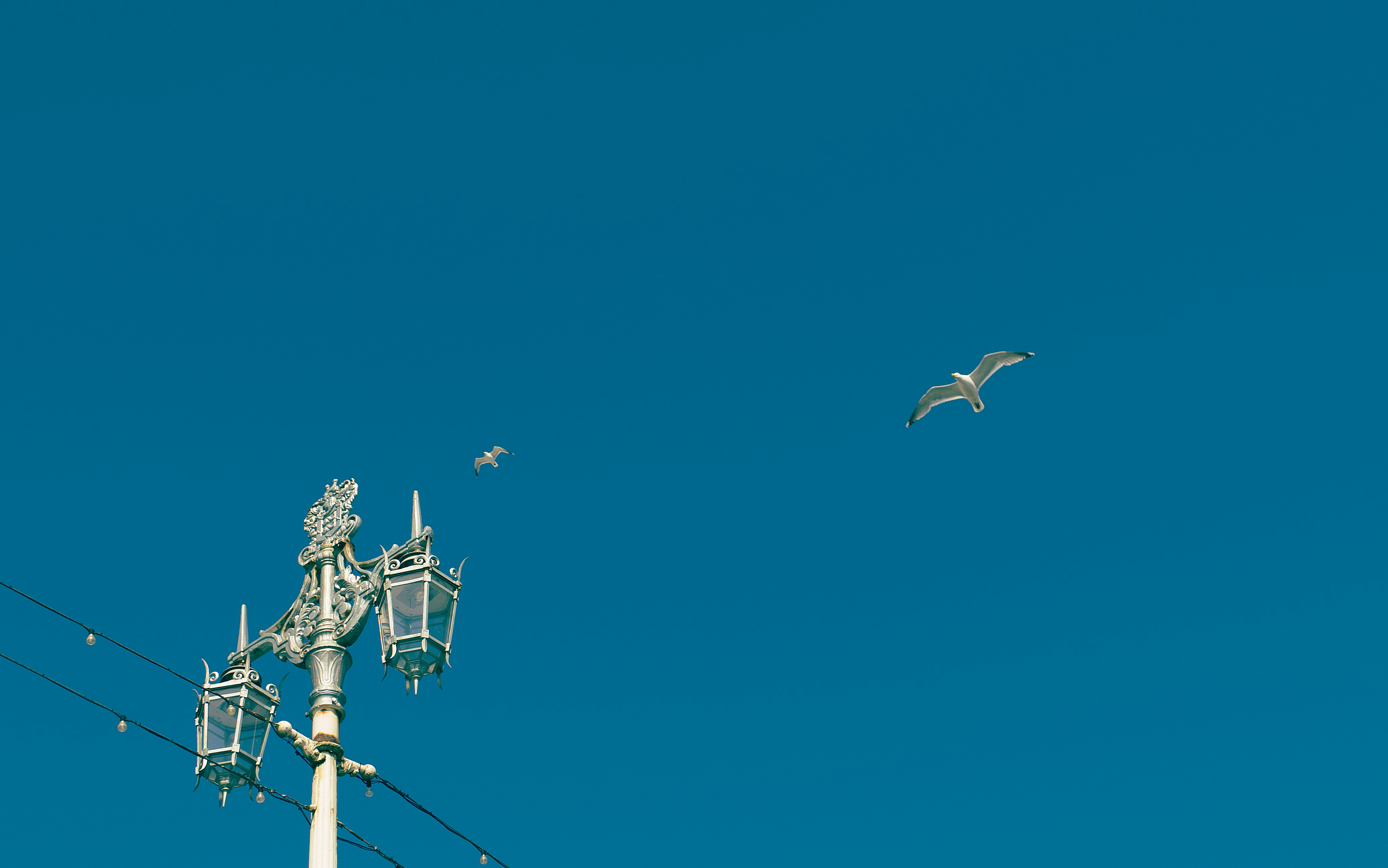 Clear Sky, Quiet Loft: A Lantern-Top Moment with Seagulls