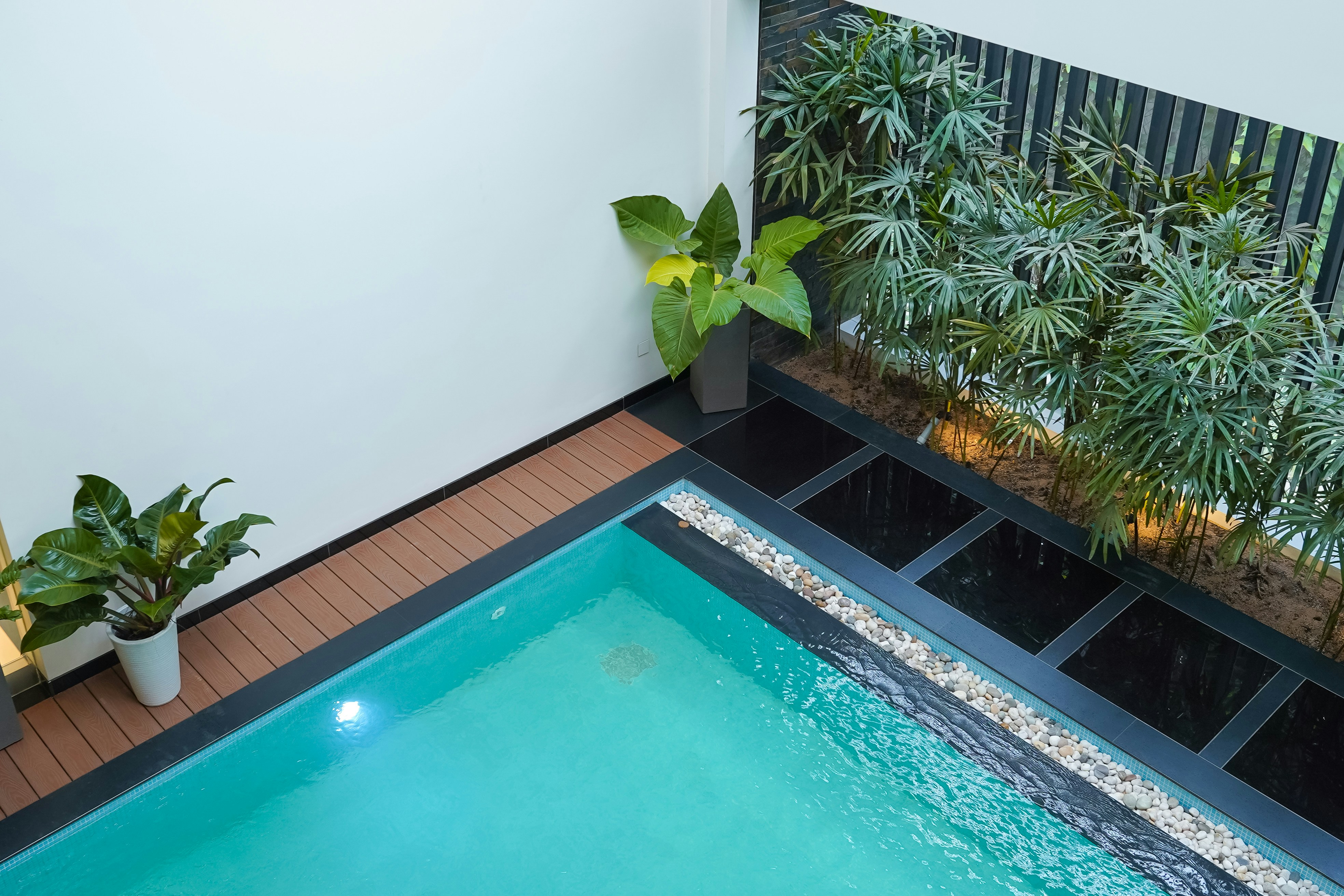 Zen Pool Nook: Minimalist Terrace with Palm Fronds and Blue Waters