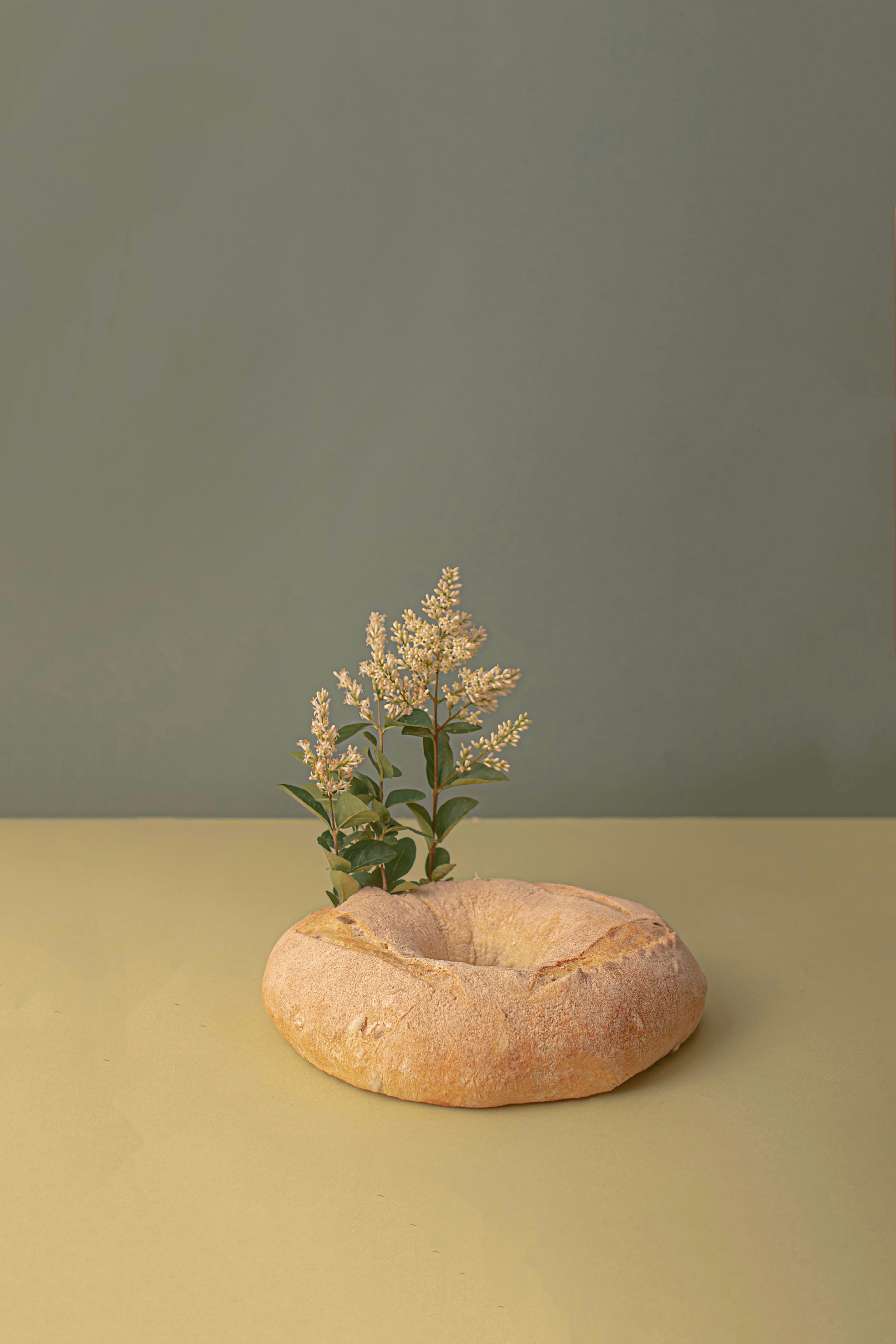 Floret Ring: A Loaf and Sprigs in Quiet Light