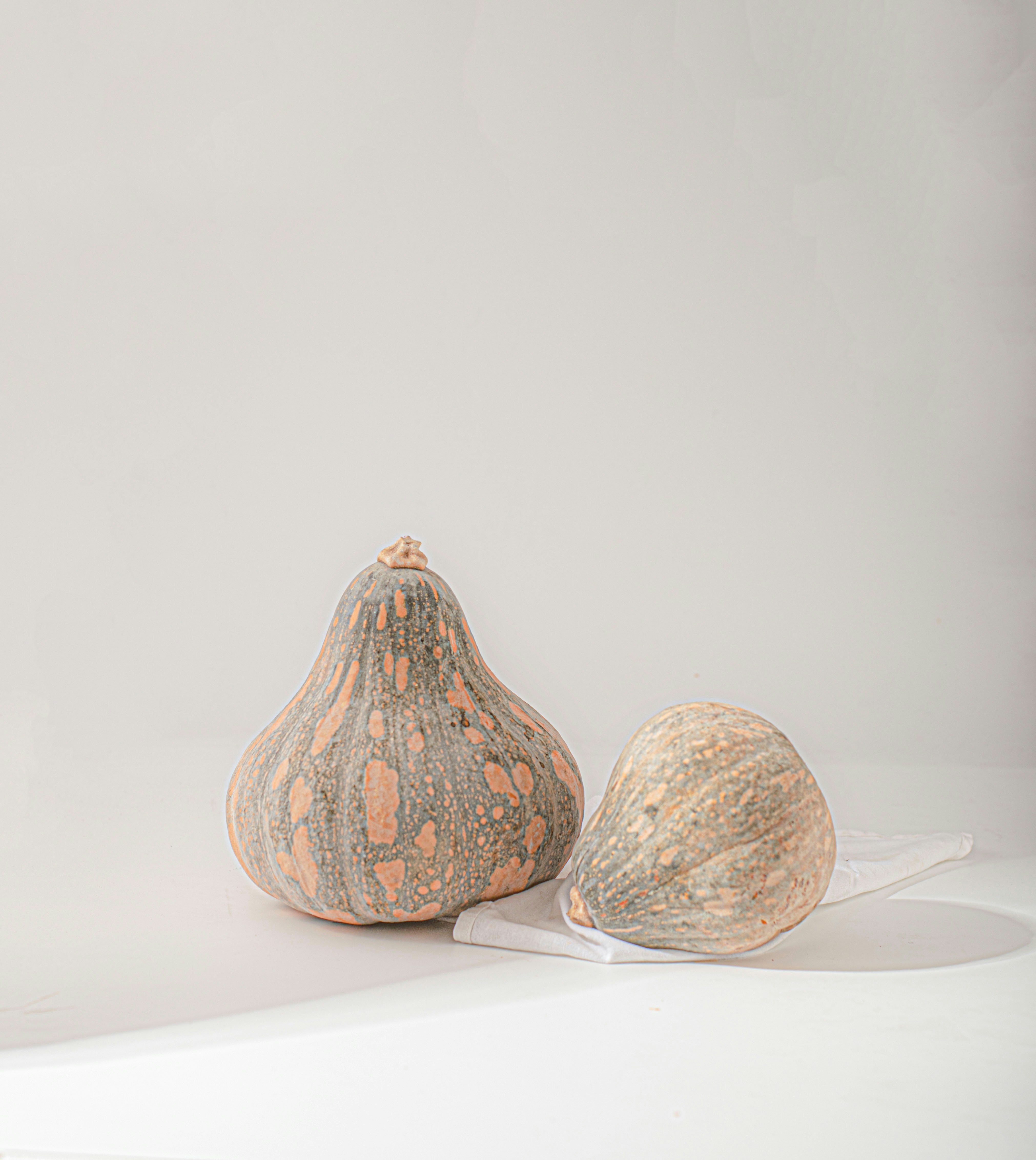 Pastel Gourds on a Quiet White Stage