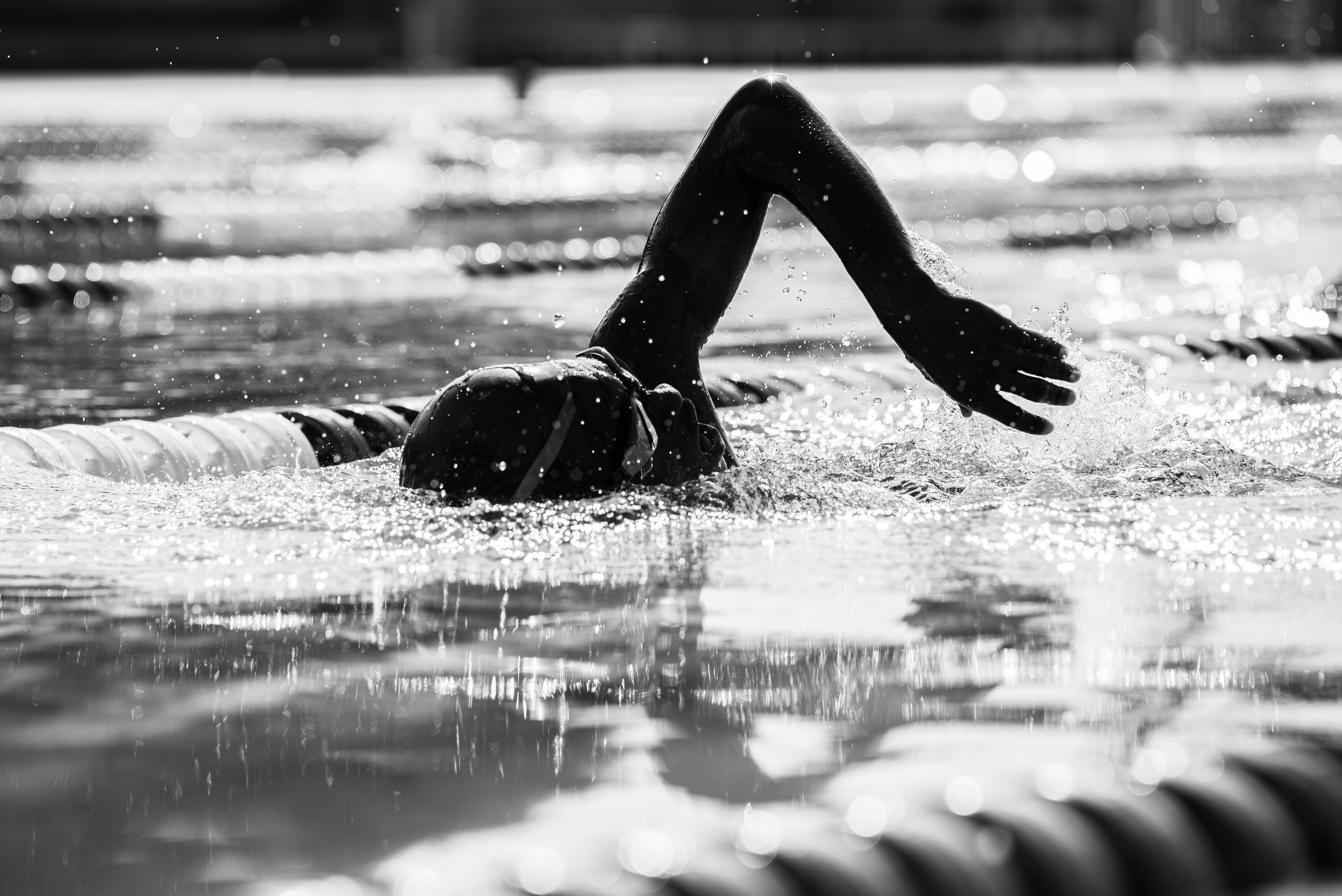 Silhouette swimmer slicing through a sunlit lane