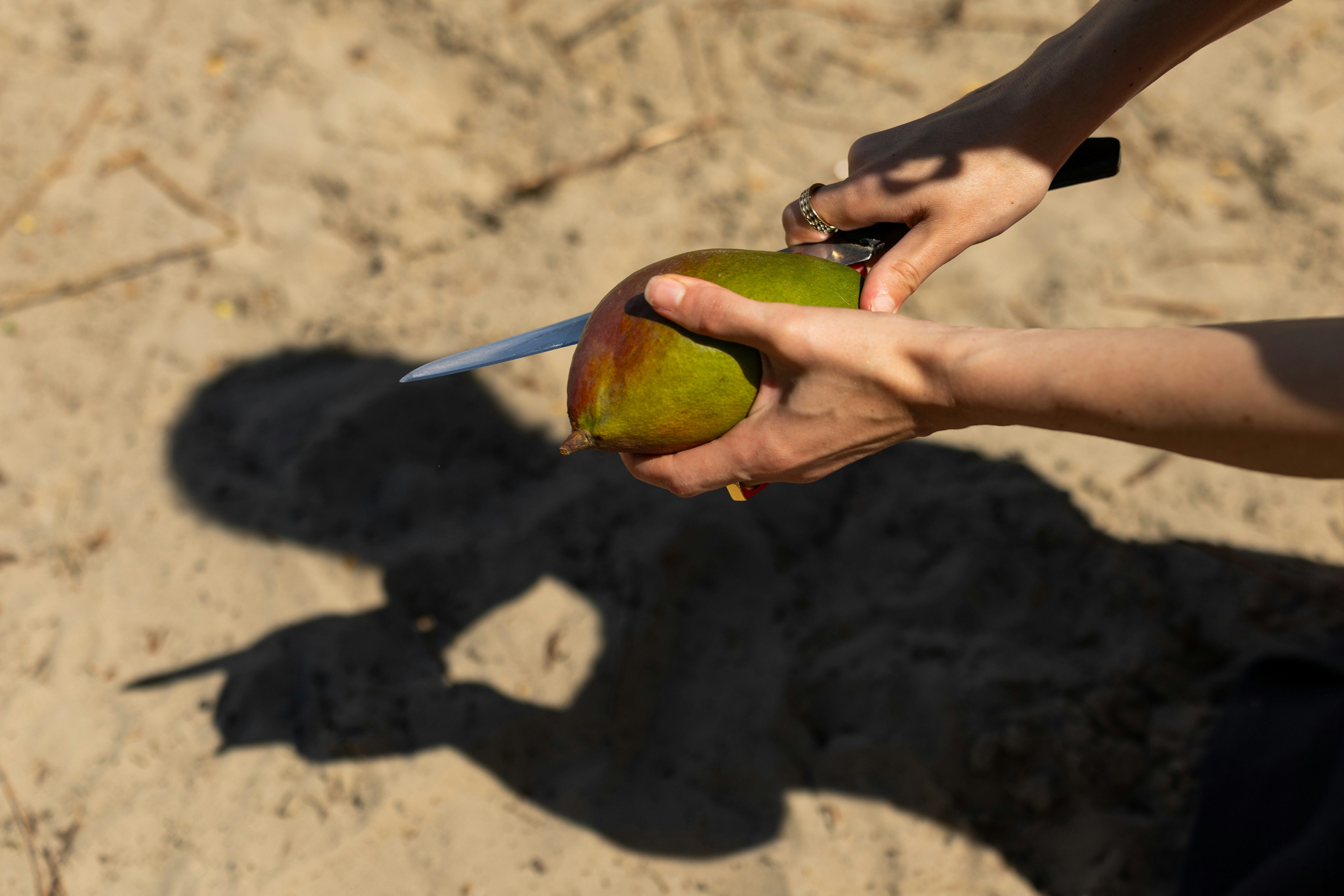 Hands at the Fruit: A Knife Ready on a Sunny Sand
