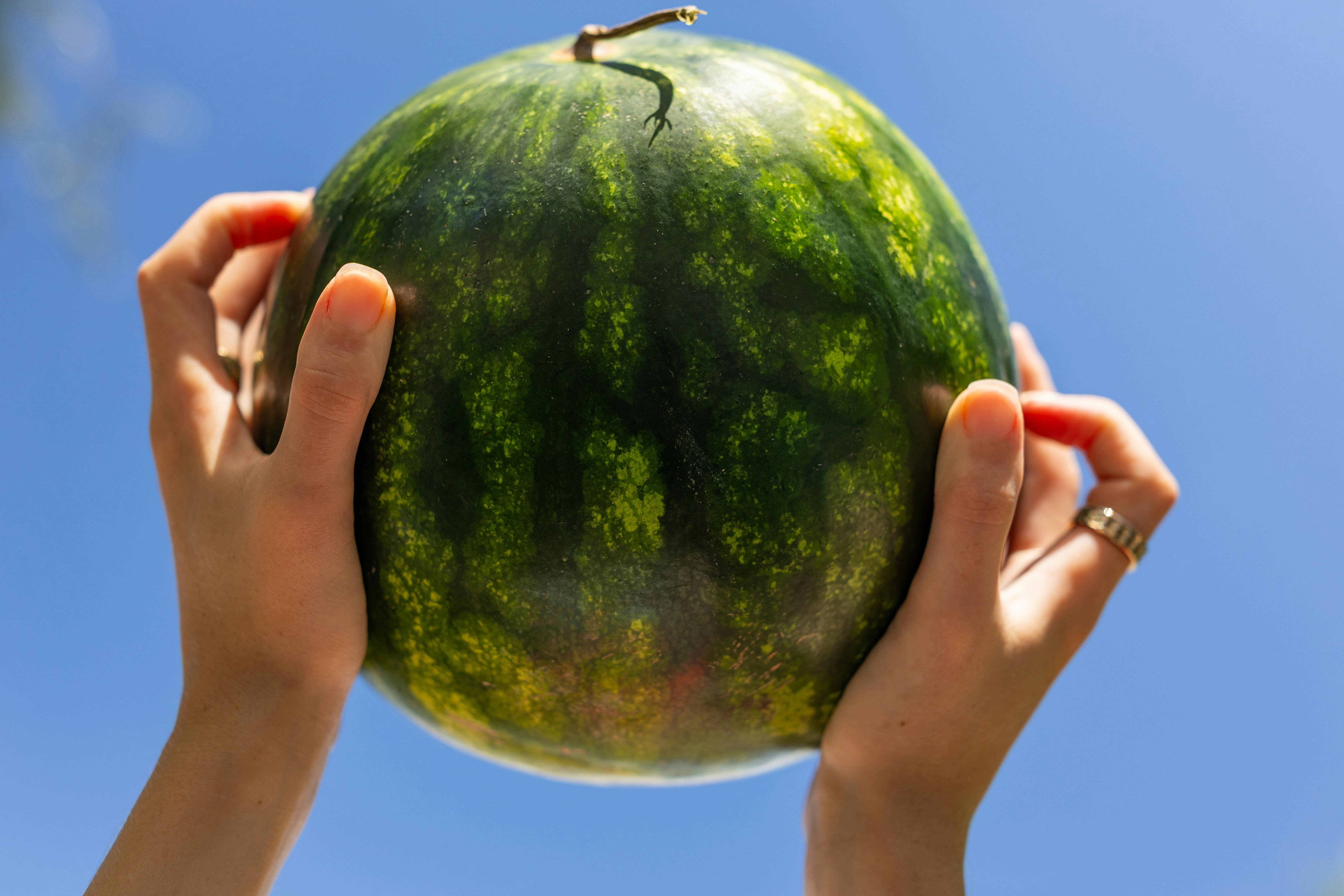 Hands Up with a Watermelon Star: Juicy Summit Against a Clear Sky