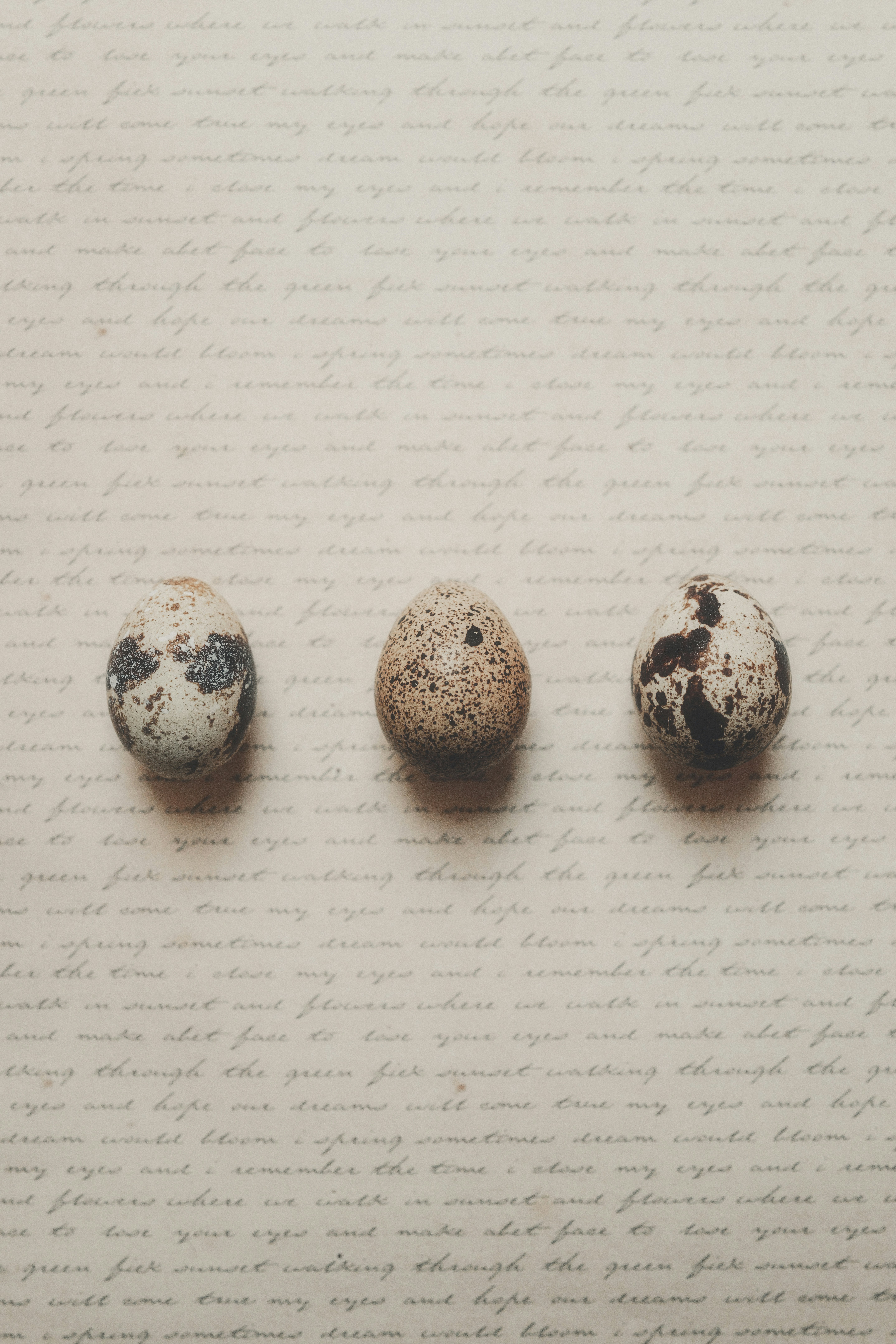 Three Speckled Eggs on a Scripted Surface