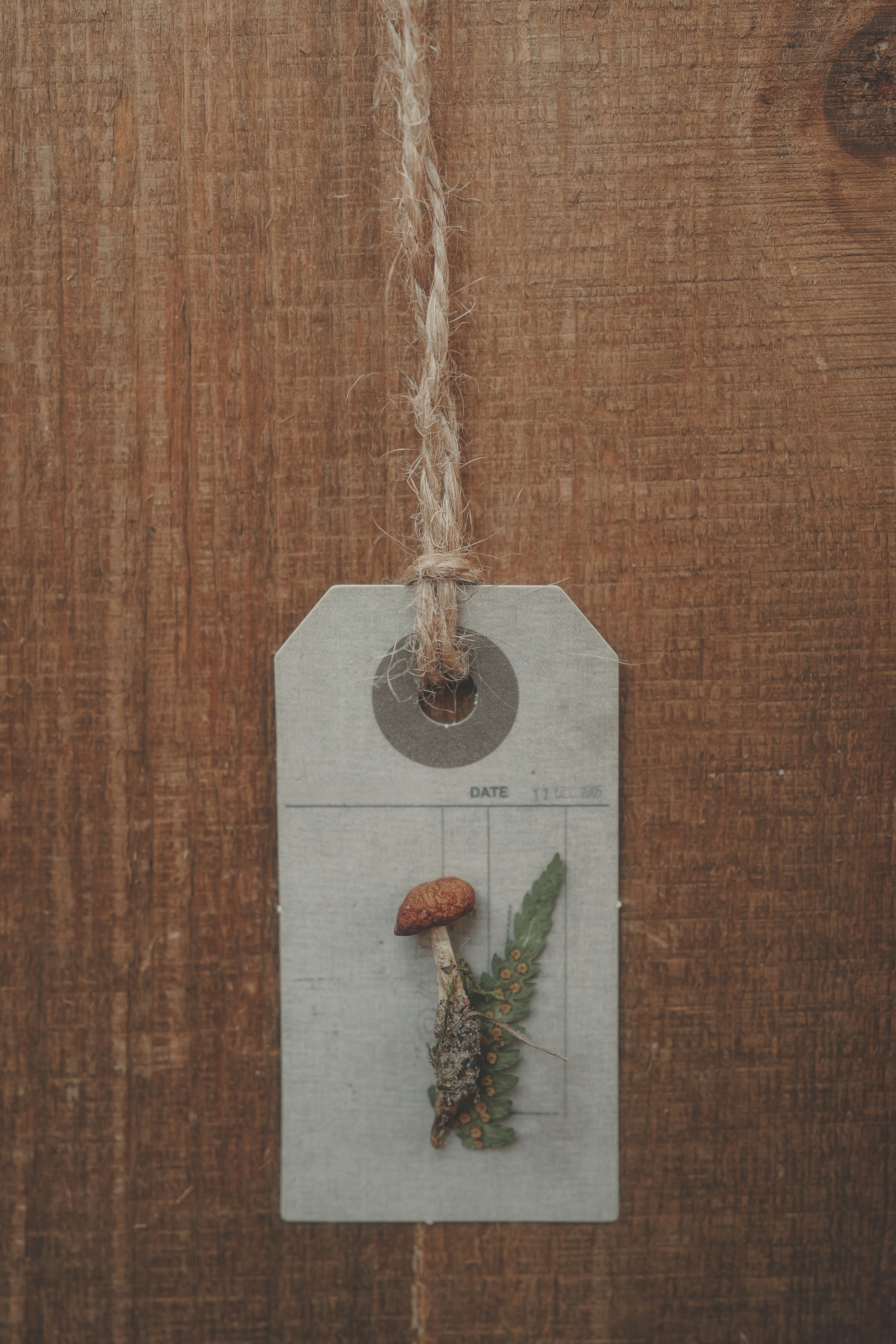 Tag of Time: A Small Memo on Rustic Ties