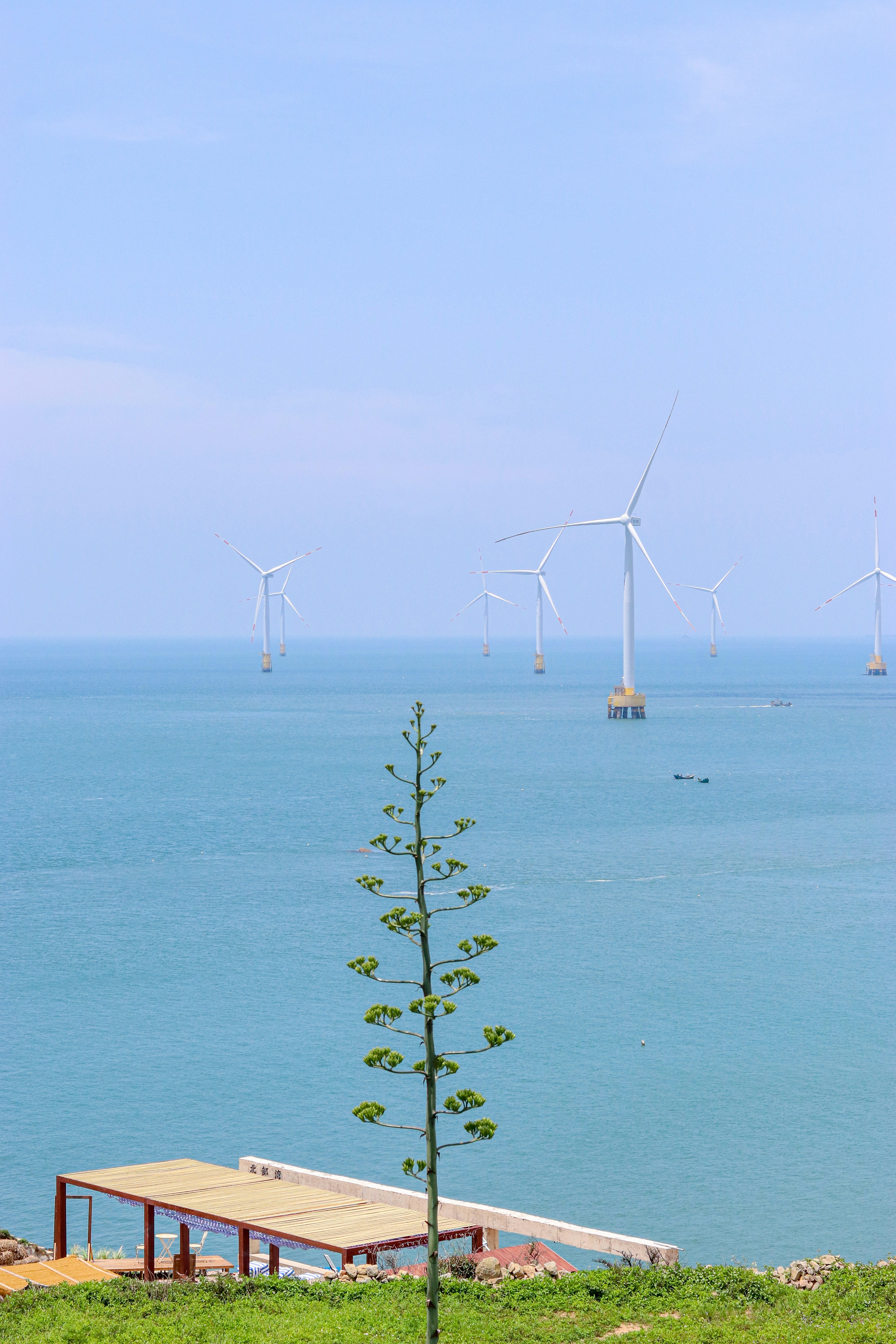 Offshore Giants: Wind Turbines Rising Over a Quiet Cove