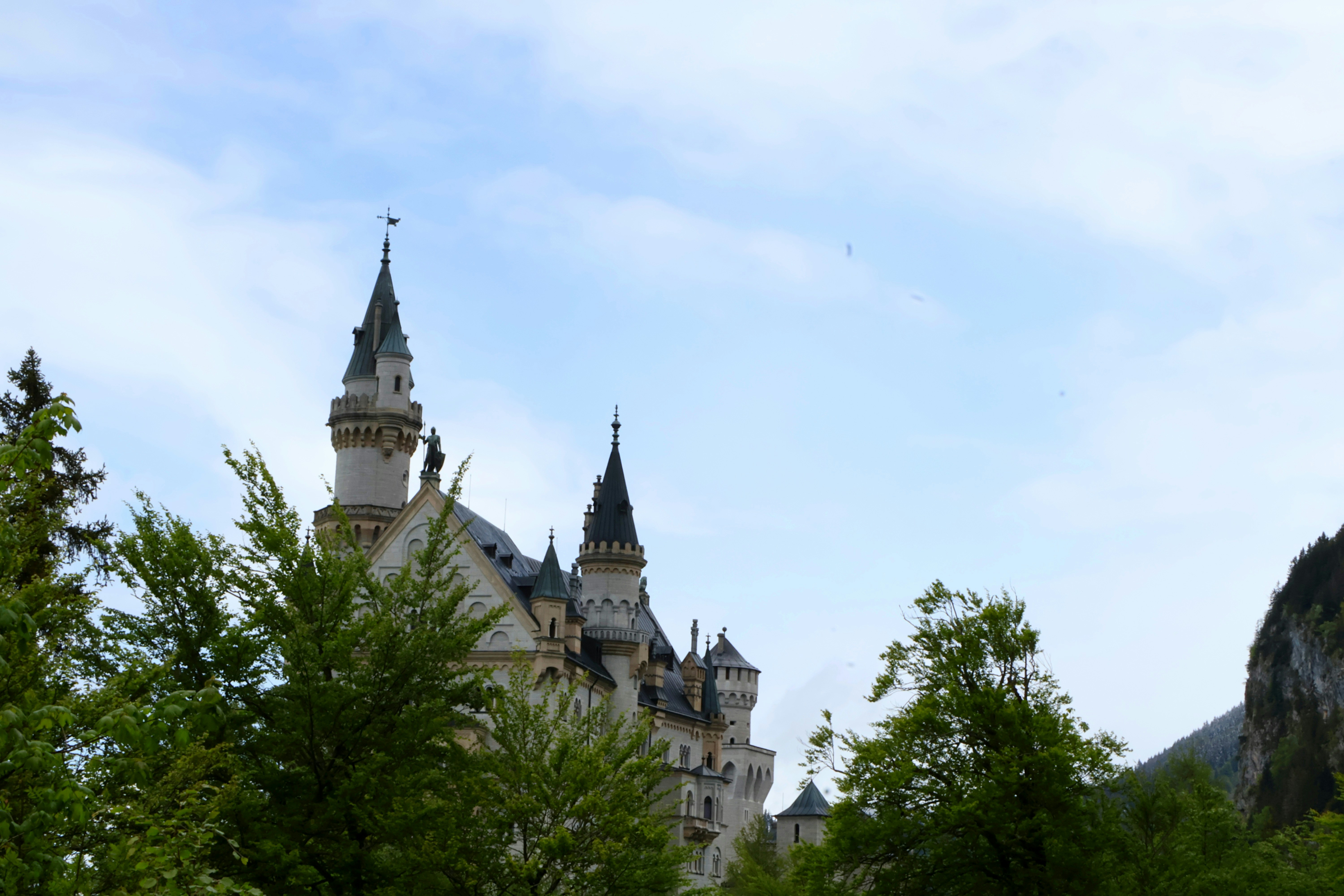 Castle Towers Rising Above the Green Canopy
