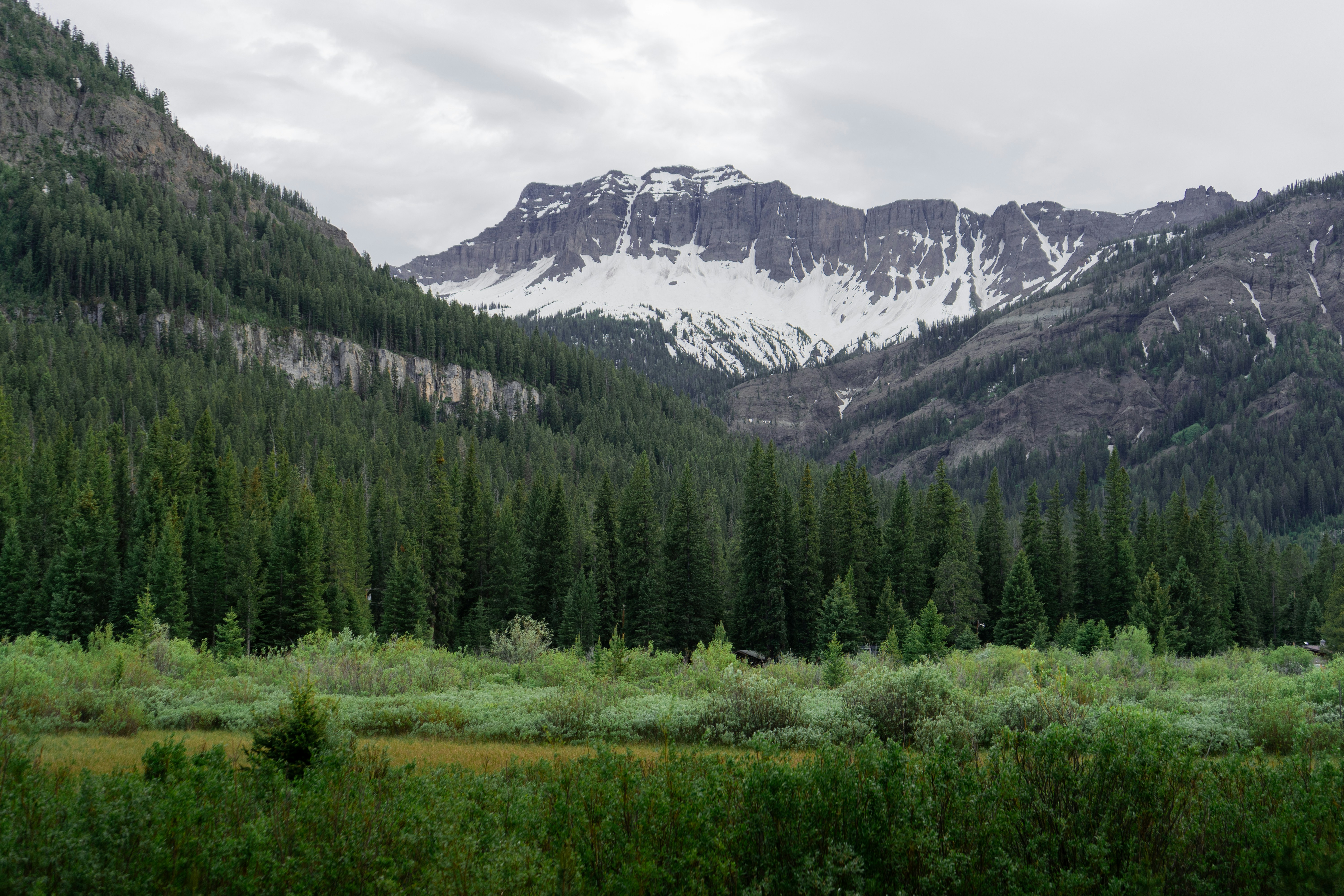 Snowy Crown Over Green Valleys