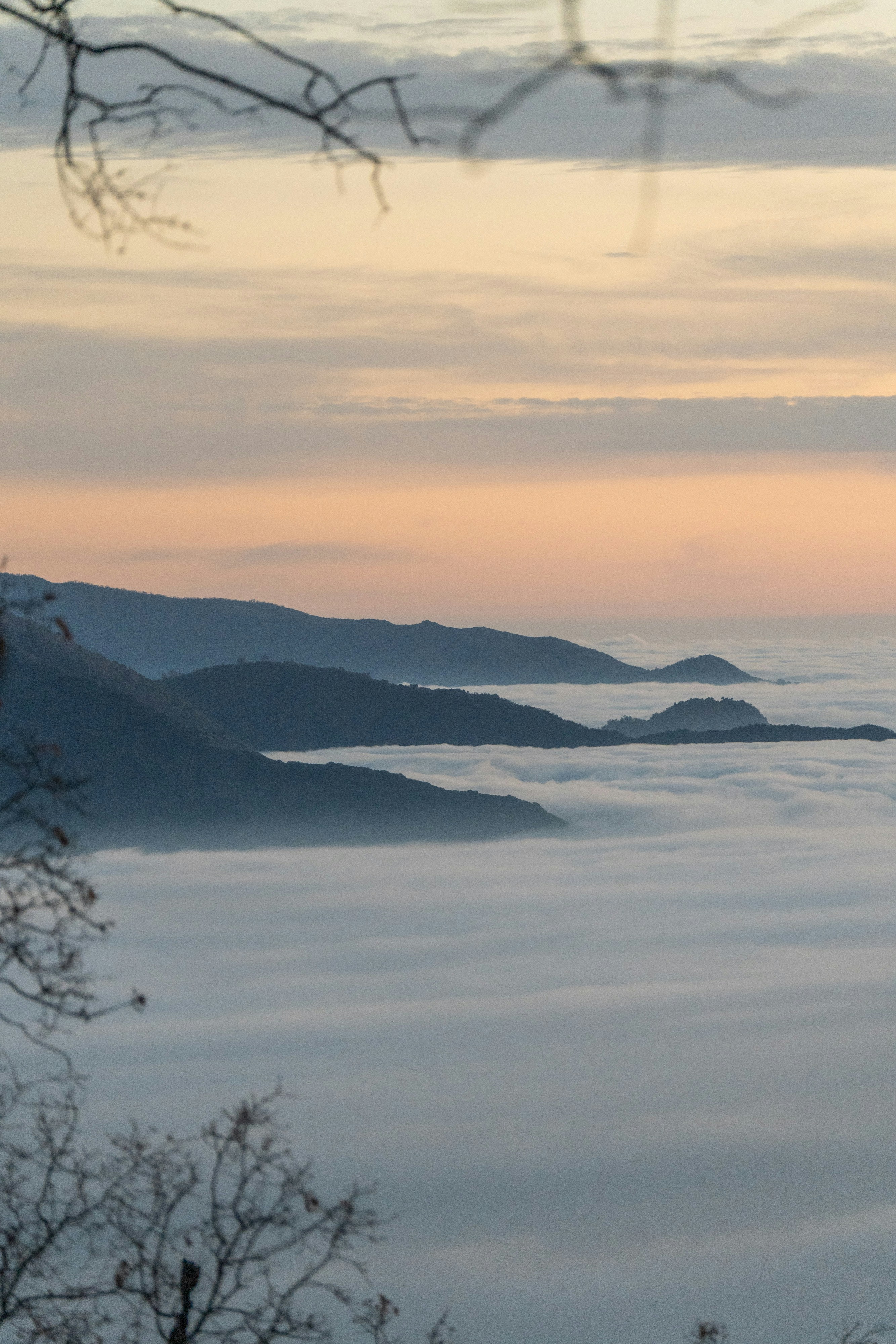 Dawn over a Sea of Clouds: Layered silhouetted ridges under pastel skies