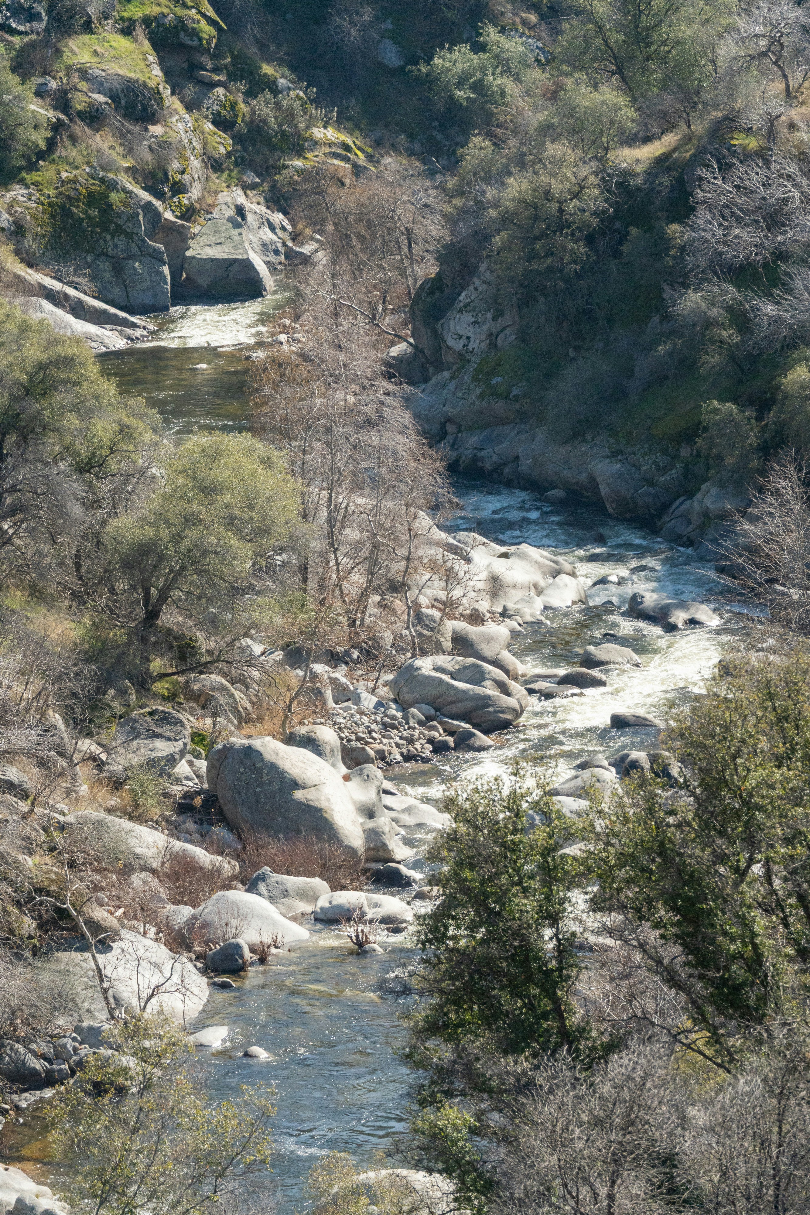 Rugged River Corridor Woven with Smooth Boulders