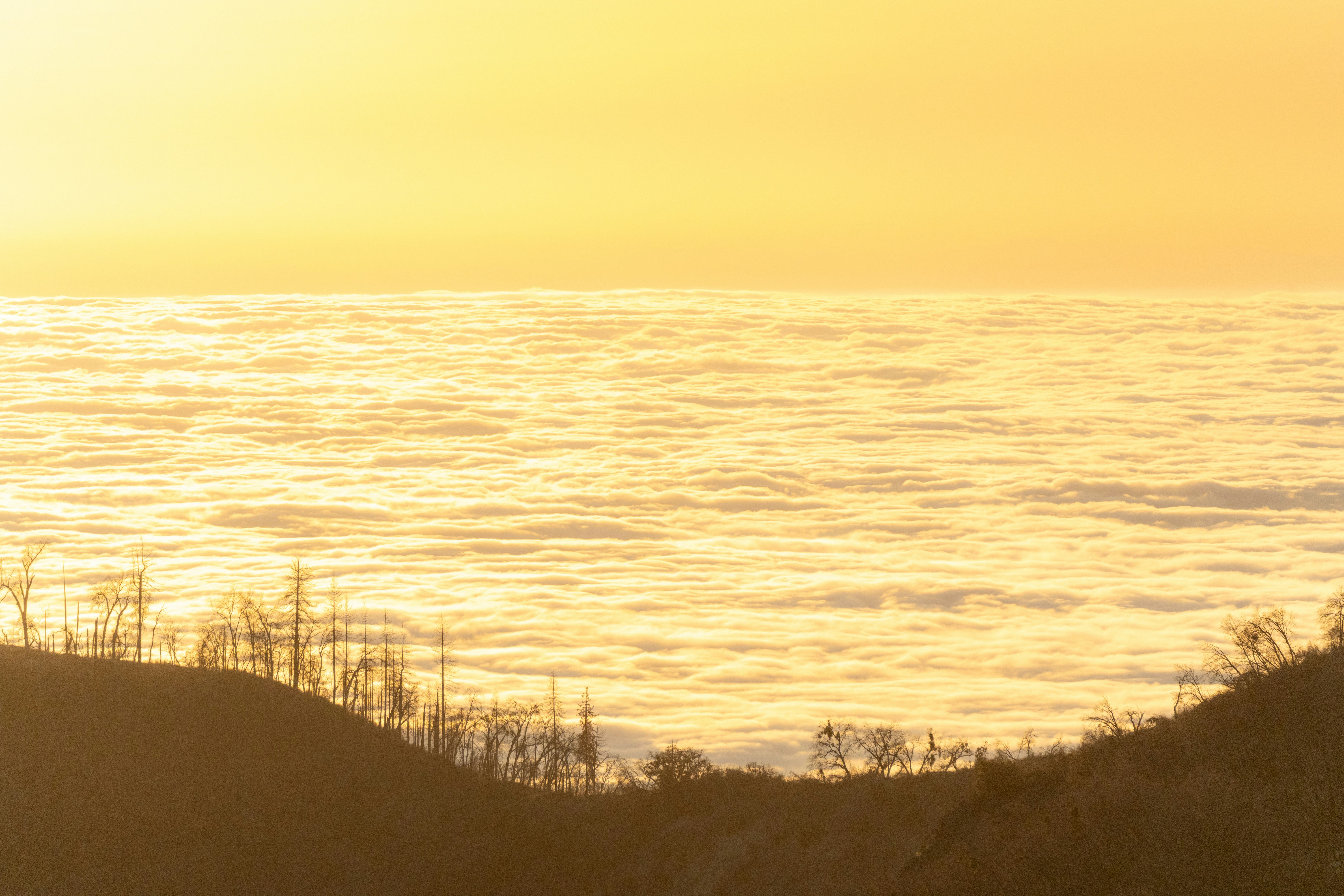 Golden Horizon: Sunlit Sea of Clouds Over a Quiet Ridge