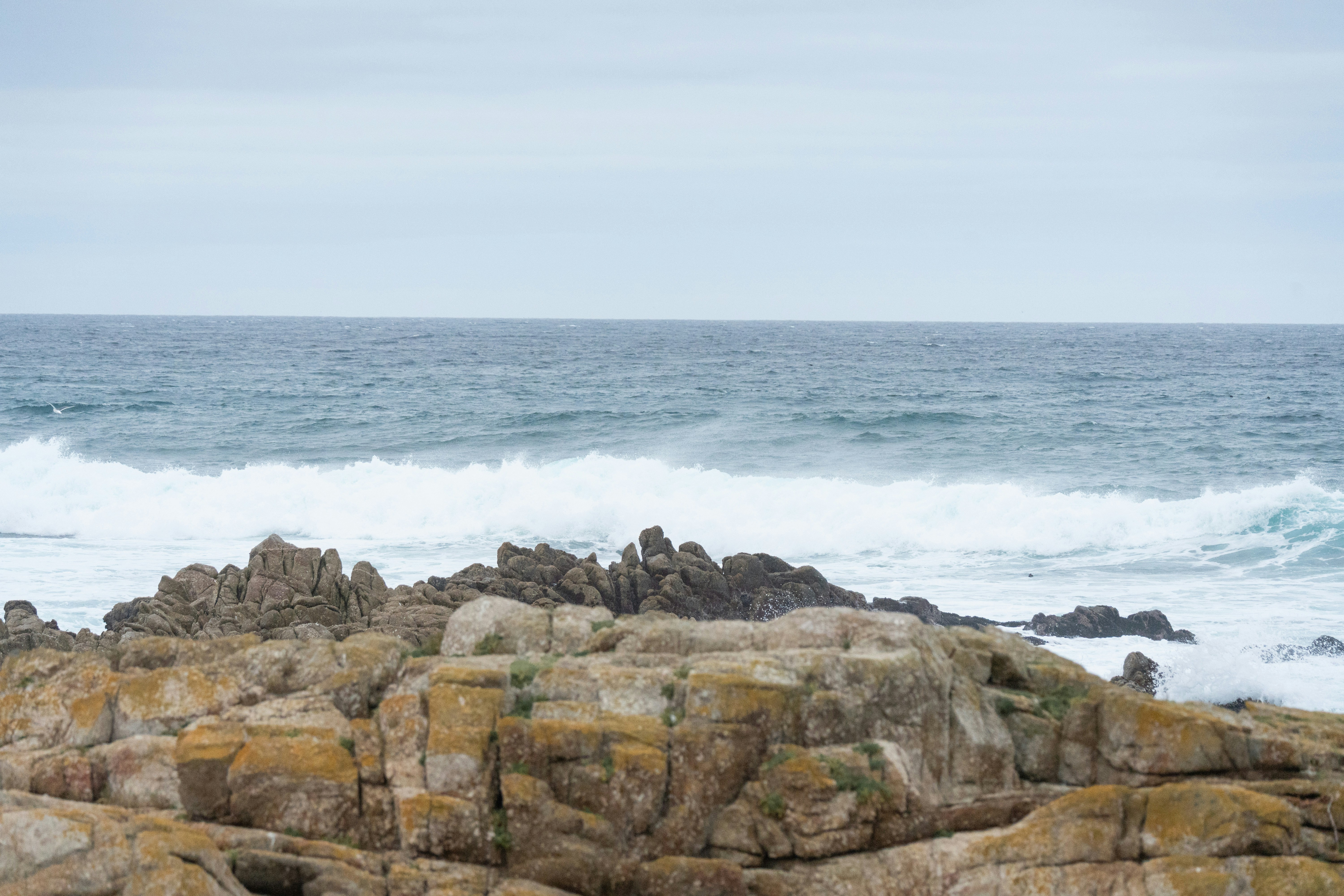 Rugged Shoreline Meeting the Sea