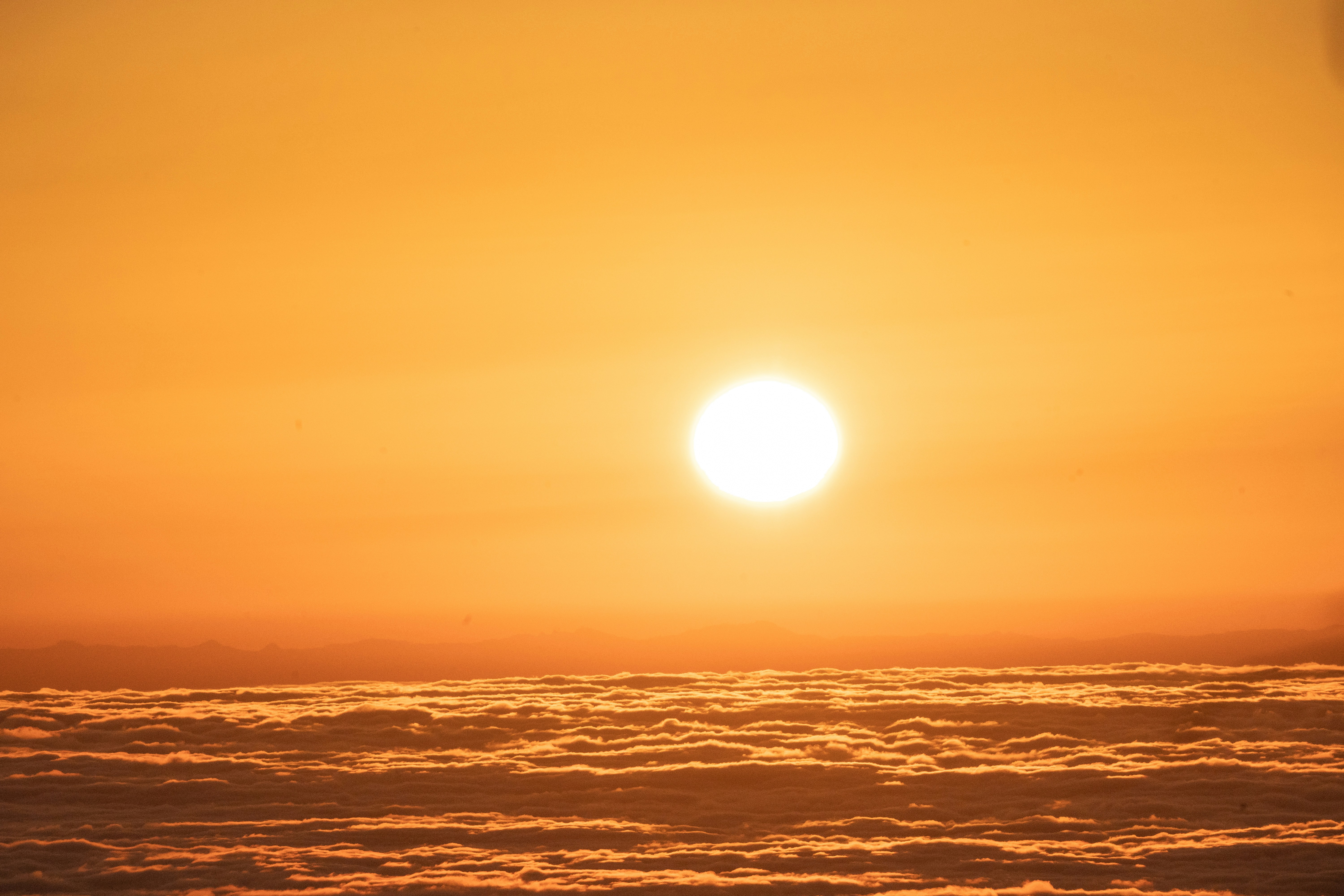 Sunrise Above the Cloud Ocean