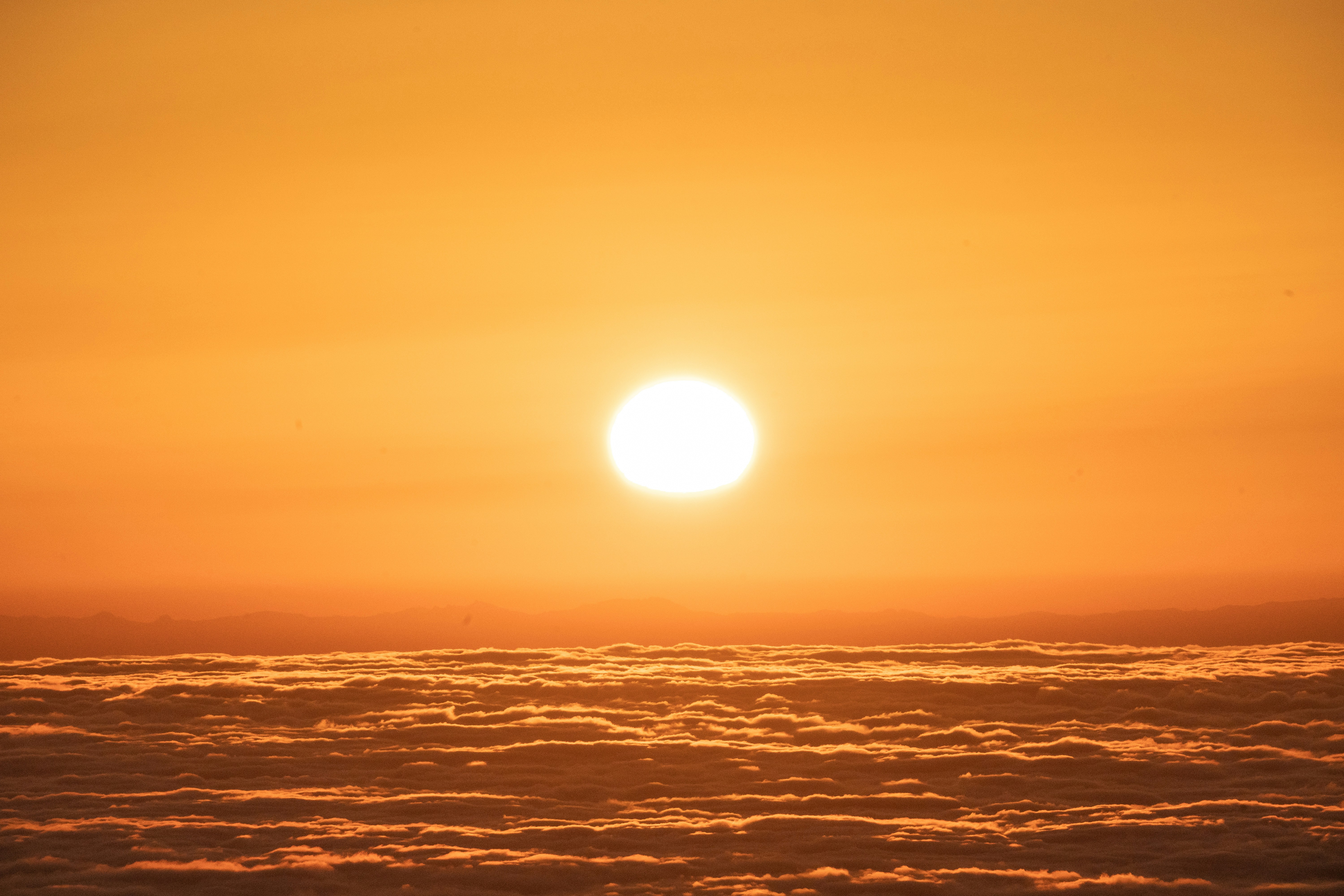 Sun at the Edge: A Sea of Clouds Painted in Warm Hues