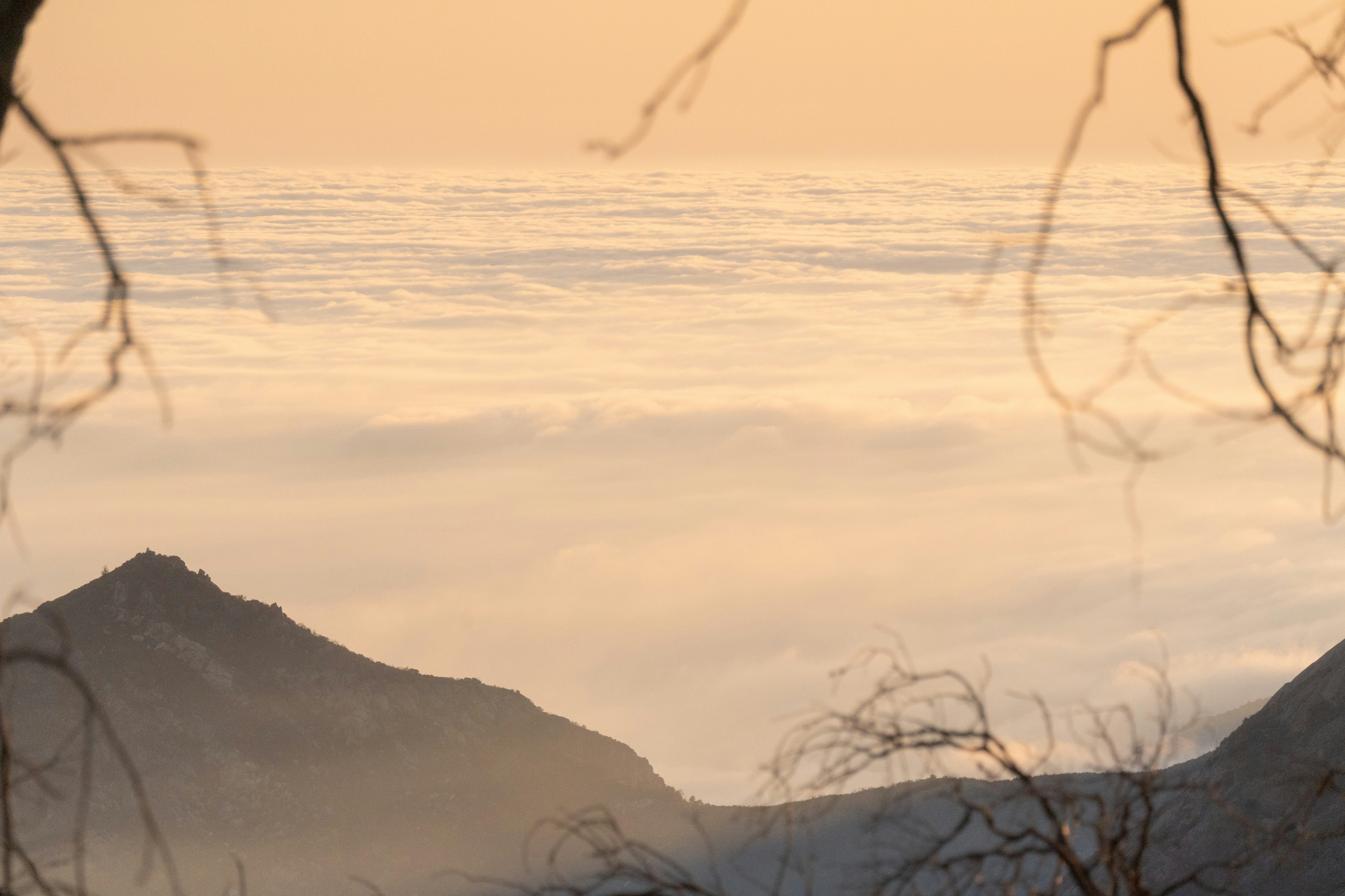 Silhouetted Ridge at Dawn Above a Sea of Clouds