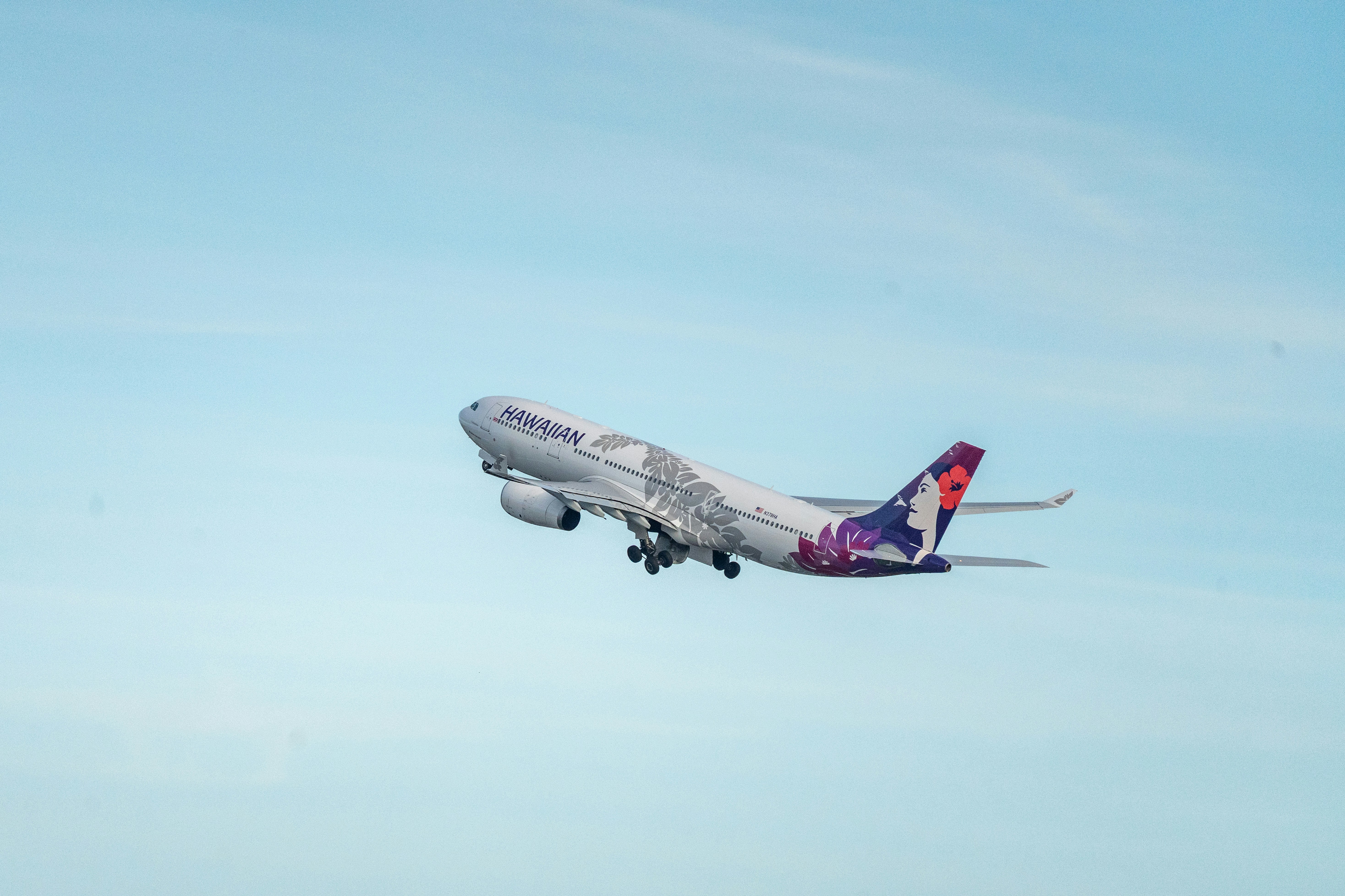 Lifting off: A Disney-themed airliner ascends past a pale blue sky
