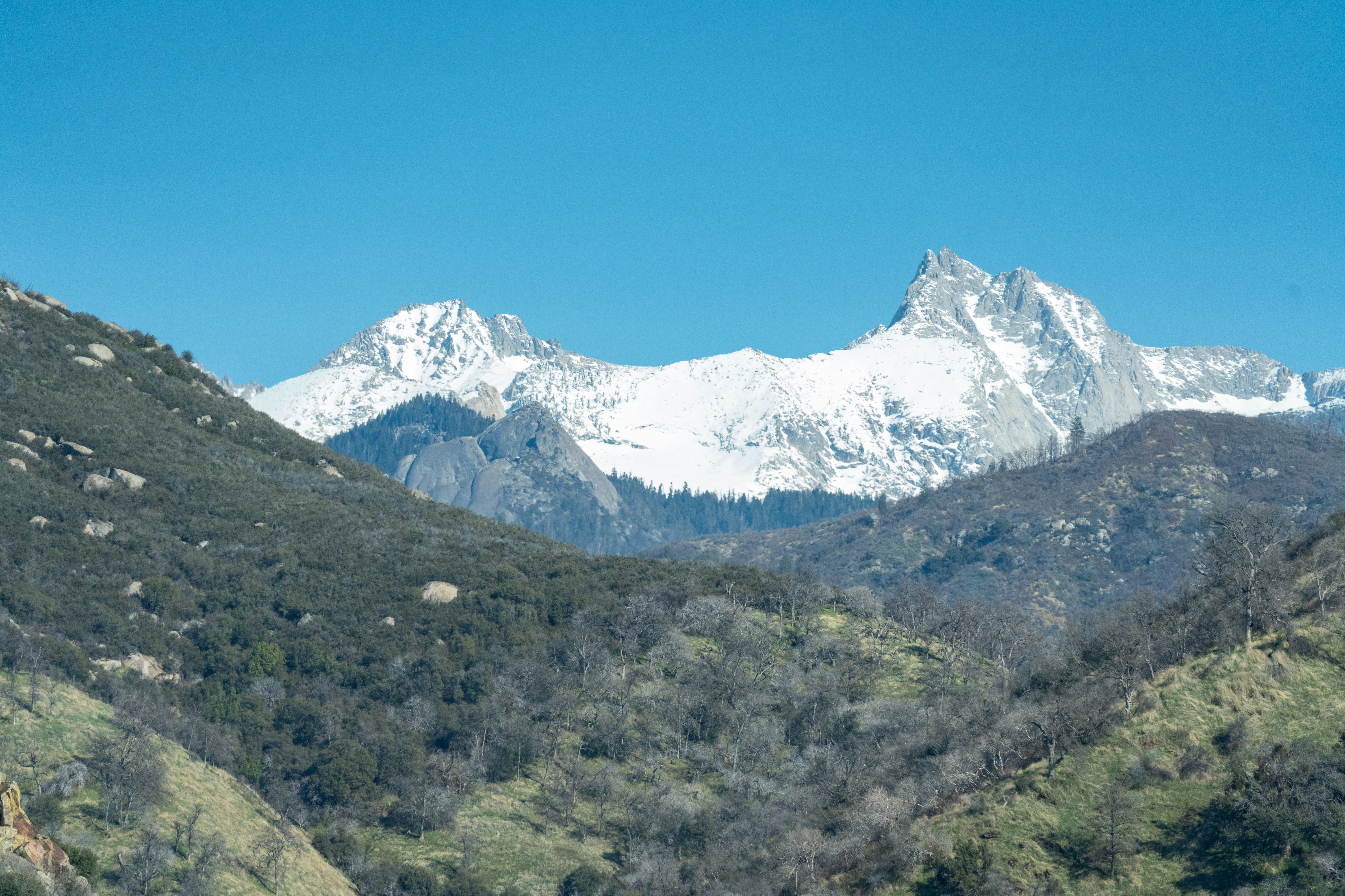 Snow-capped Peaks Above a Verdant Foothill