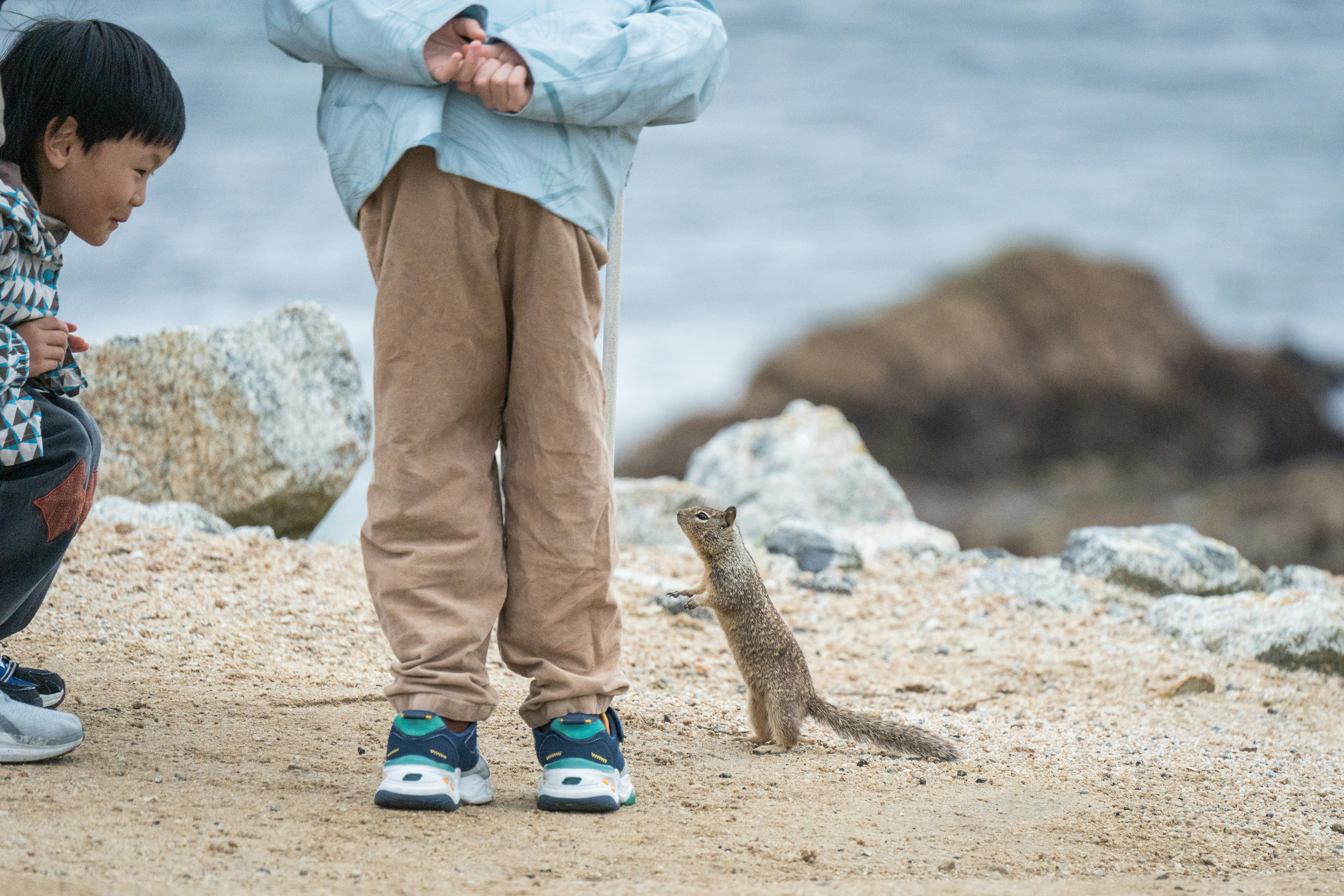 Two children observe a squirrel on a rocky beach.