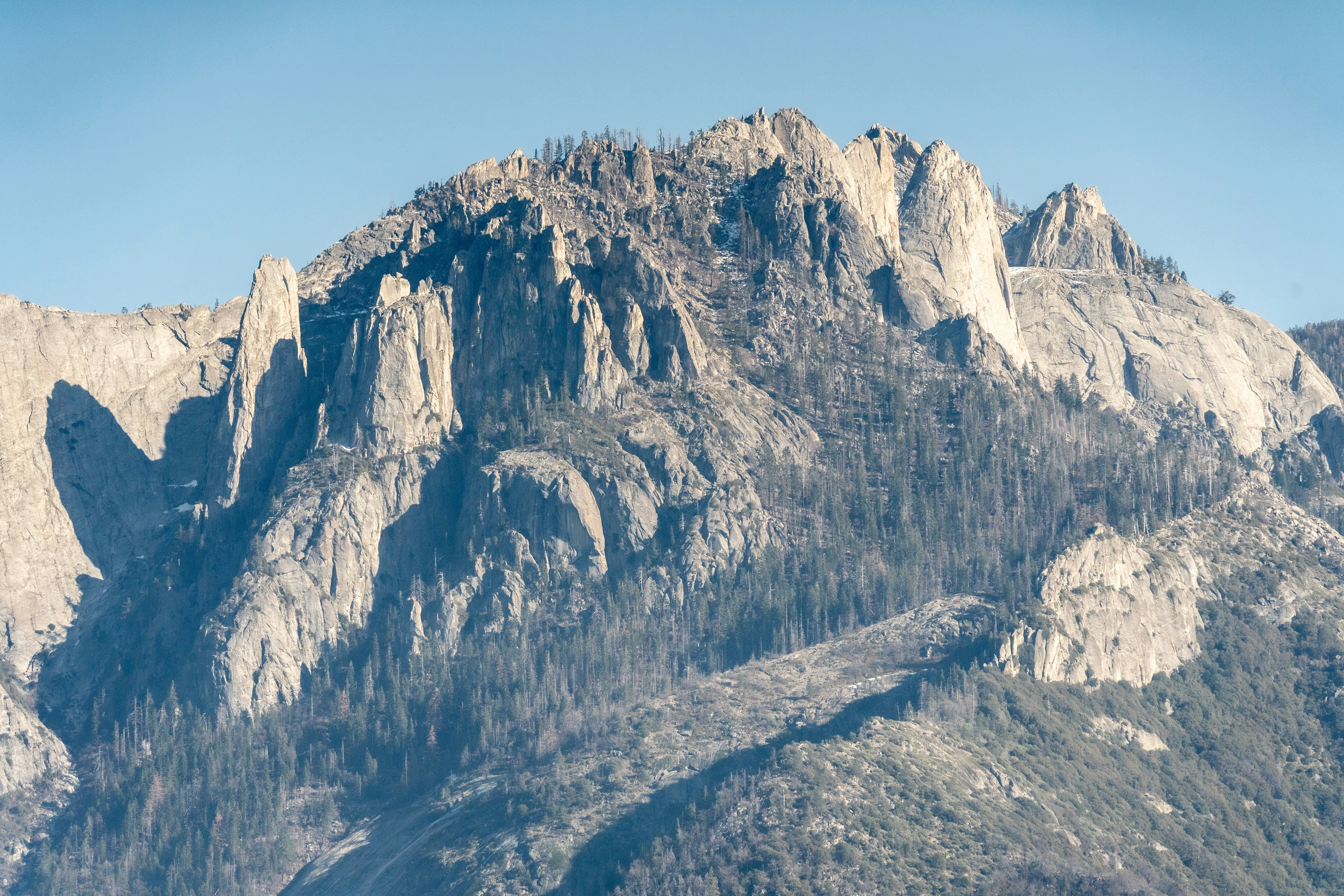 Ridgeline Sentinel: Sunlit Peaks Above the Forested Slopes